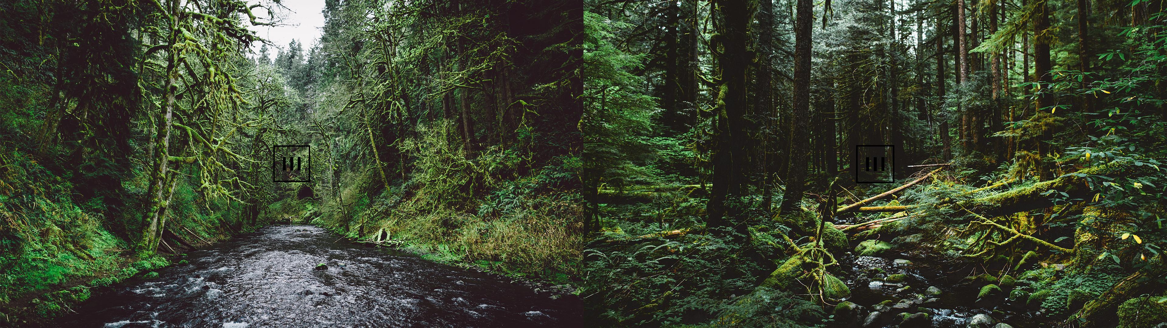 3840x1080 Forest Wallpapers - Top Free 3840x1080 Forest Backgrounds ...