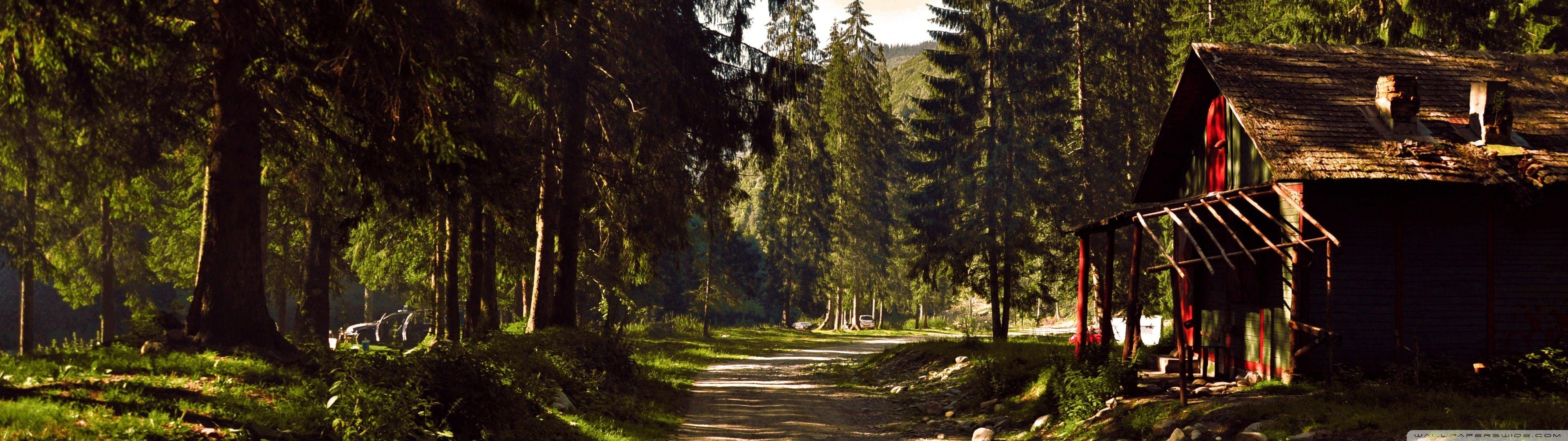 3840x1080 Forest Wallpapers - Top Free 3840x1080 Forest Backgrounds ...