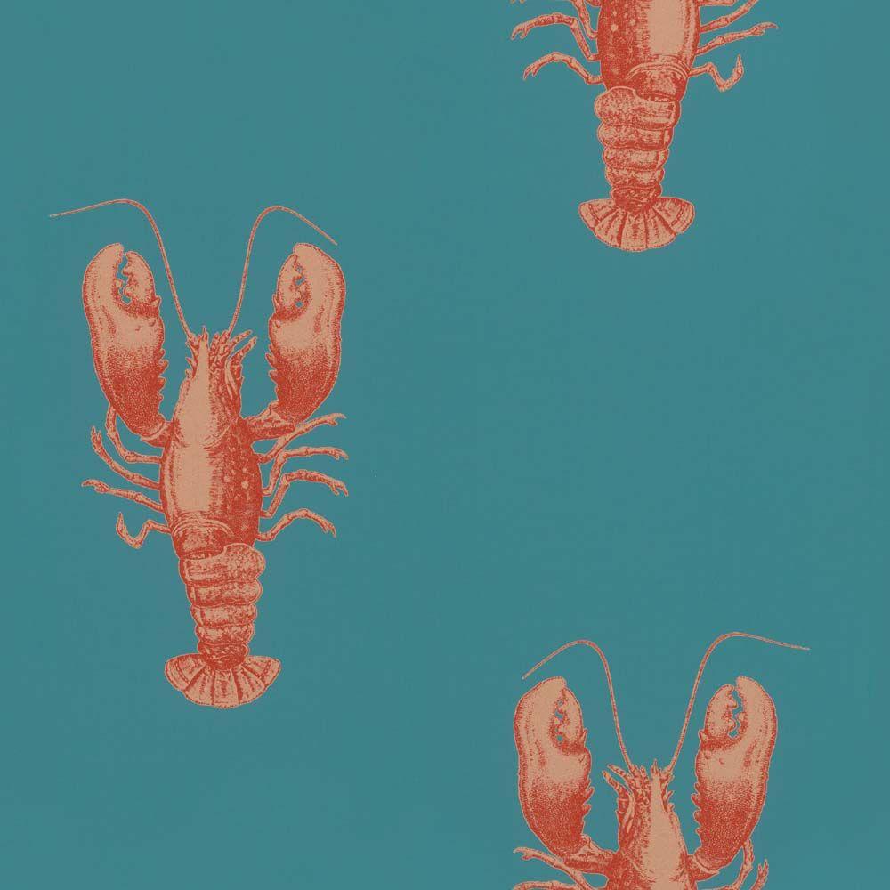 Lobster Wallpapers - Top Free Lobster Backgrounds - WallpaperAccess