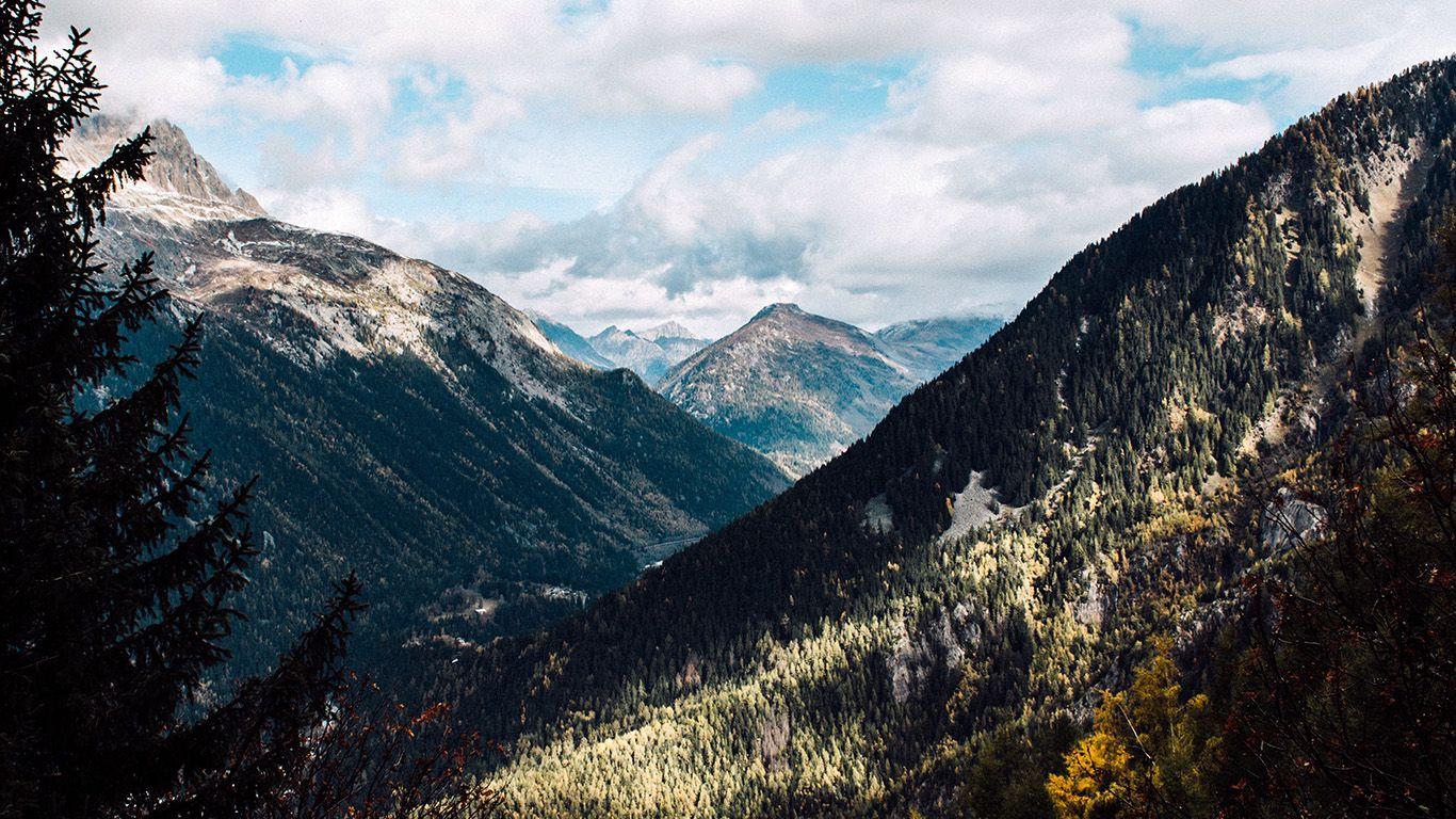 Aesthetic Forest Desktop Wallpapers - Top Free Aesthetic Forest Desktop ...