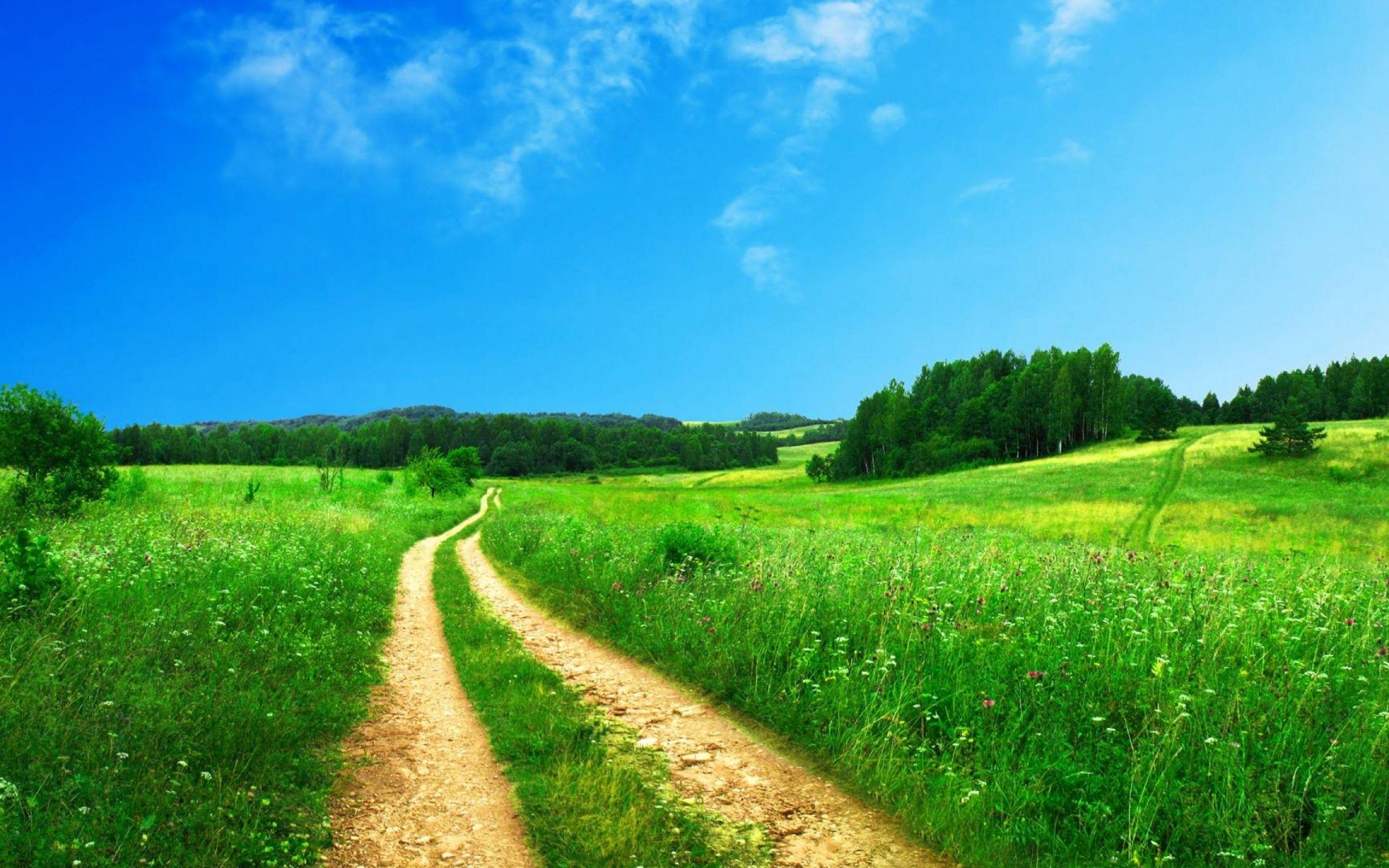 Outback Wallpapers - Top Free Outback Backgrounds - WallpaperAccess