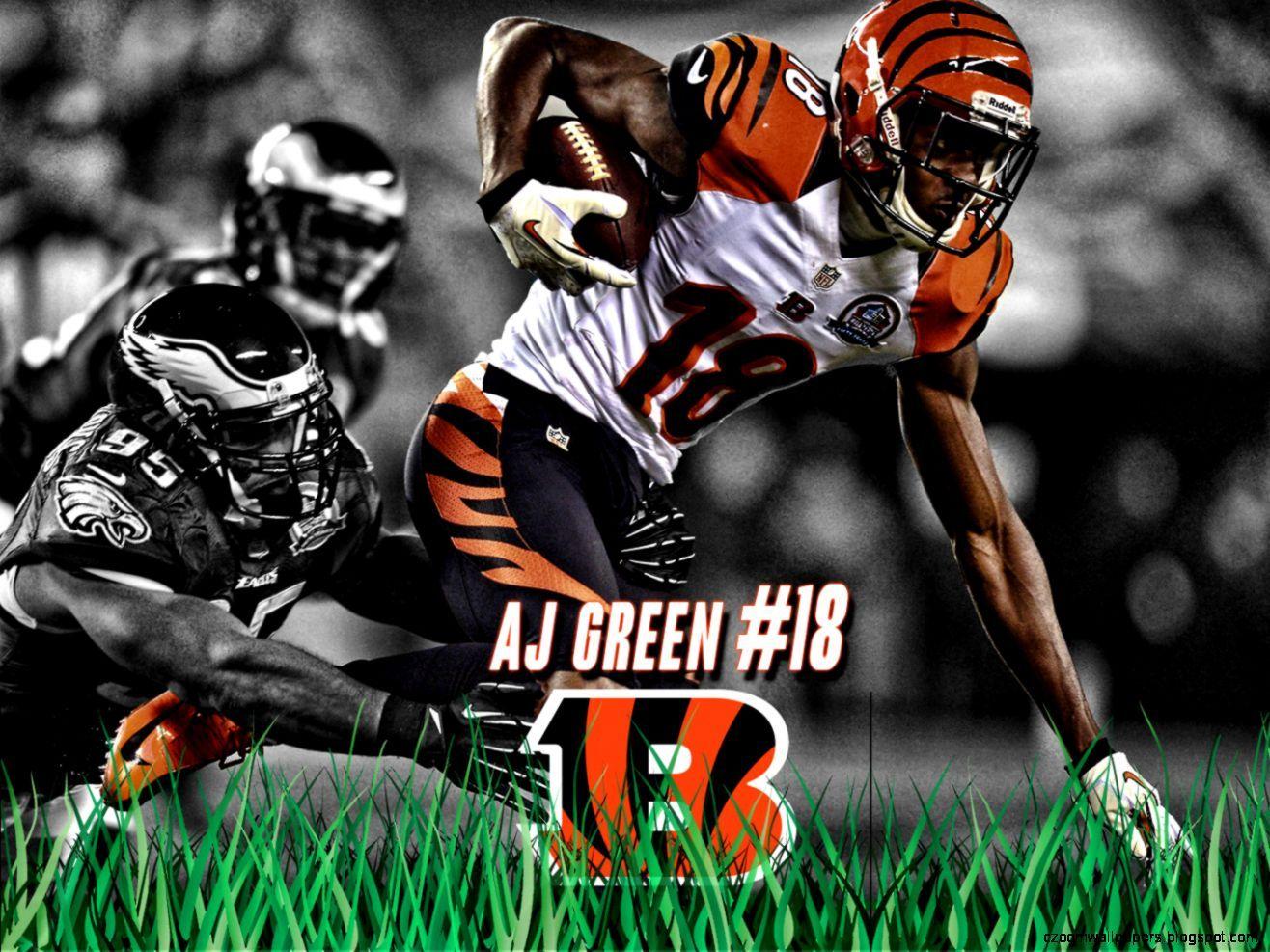 Bengals Wallpapers - Top Free Bengals Backgrounds - WallpaperAccess