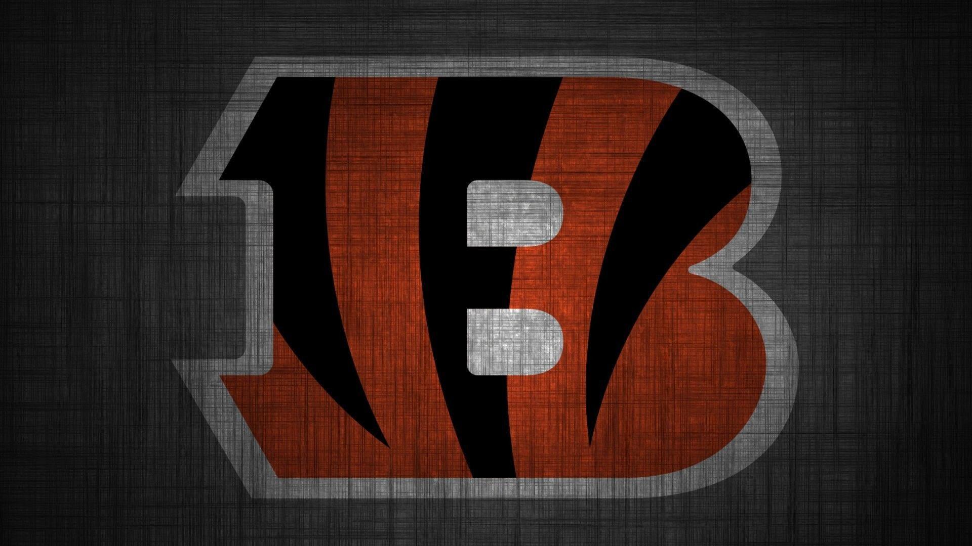 Bengals Wallpapers - Top Free Bengals Backgrounds - WallpaperAccess