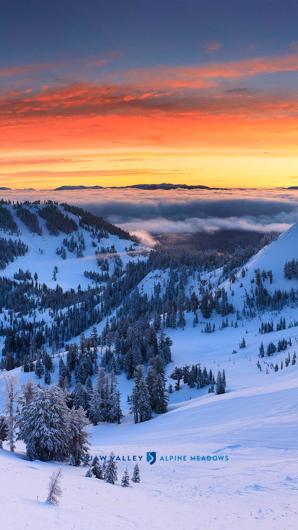 Alpine Wallpapers - Top Free Alpine Backgrounds - WallpaperAccess