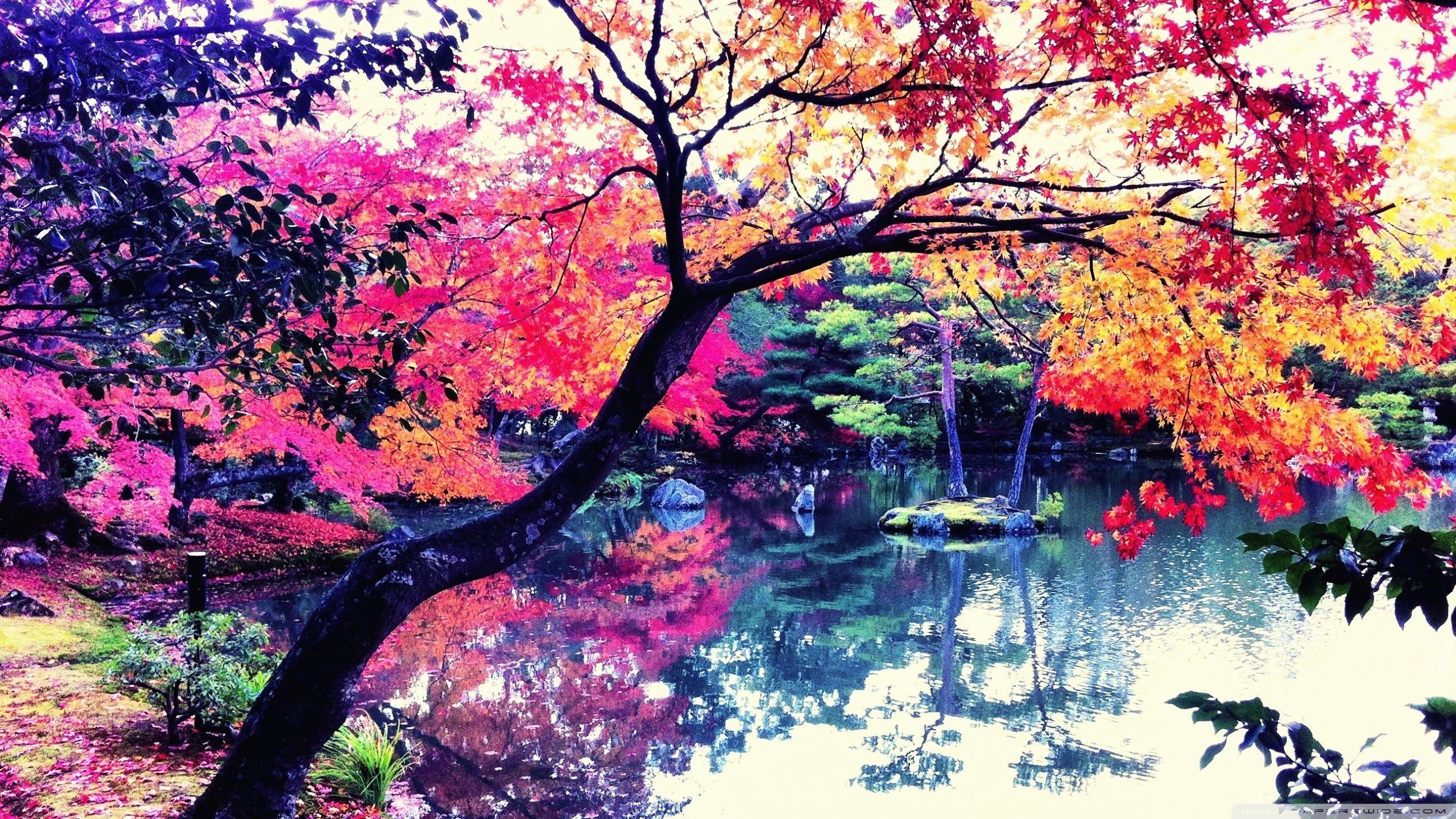 Summer Japan Wallpapers - Top Free Summer Japan Backgrounds ...