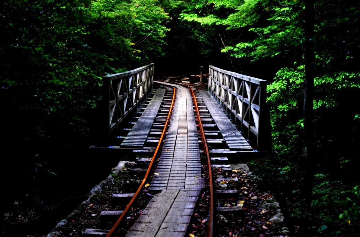 Japan Forest Wallpapers - Top Free Japan Forest Backgrounds ...