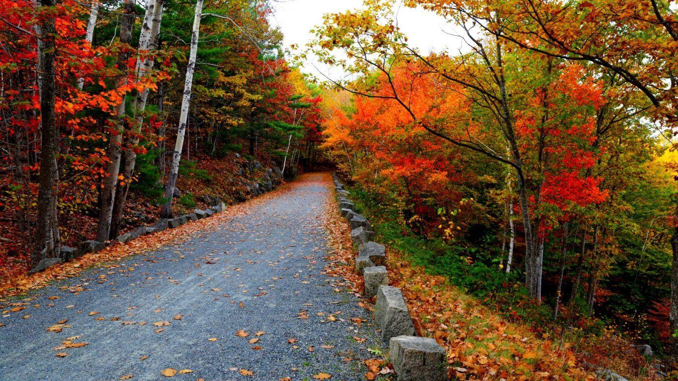 New England Autumn Wallpapers - Top Free New England Autumn Backgrounds ...