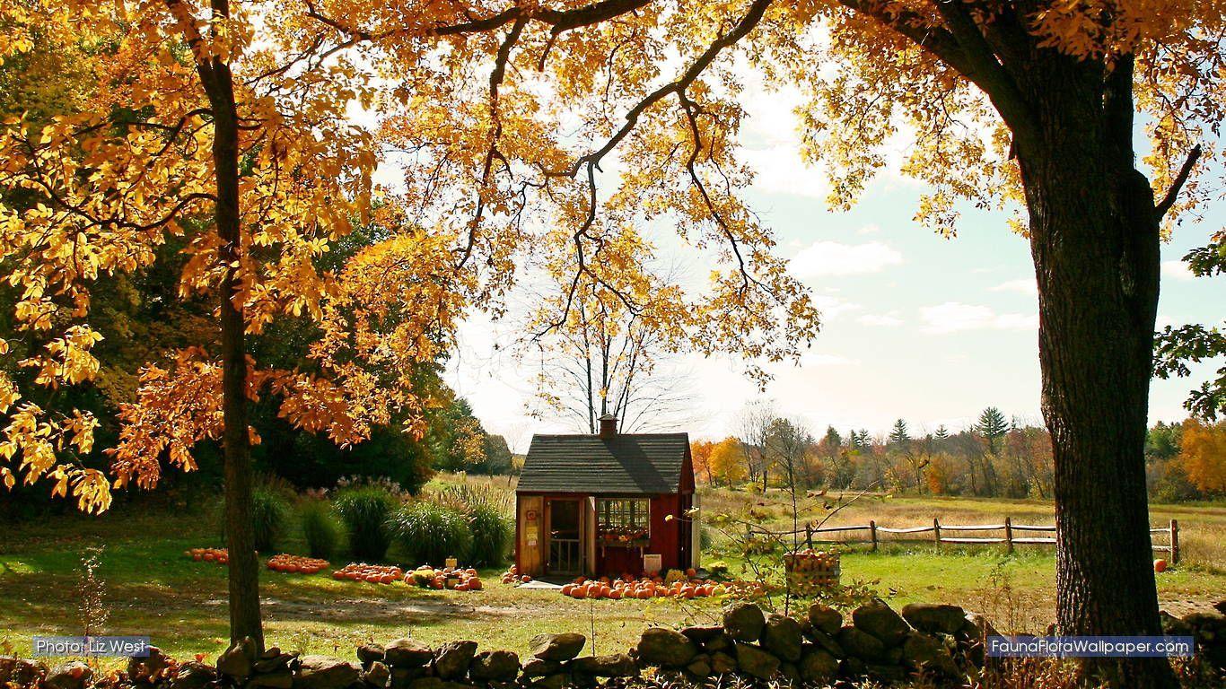 New England Fall Wallpapers - Top Free New England Fall Backgrounds ...