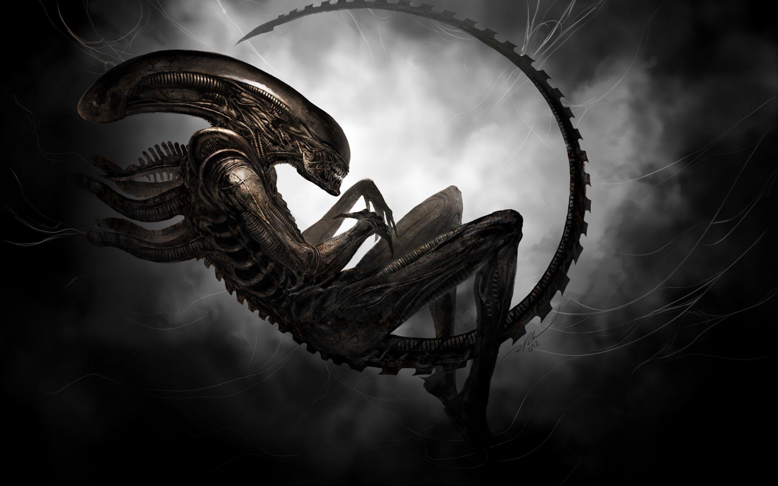 Alien Xenomorph Wallpapers - Top Free Alien Xenomorph Backgrounds ...