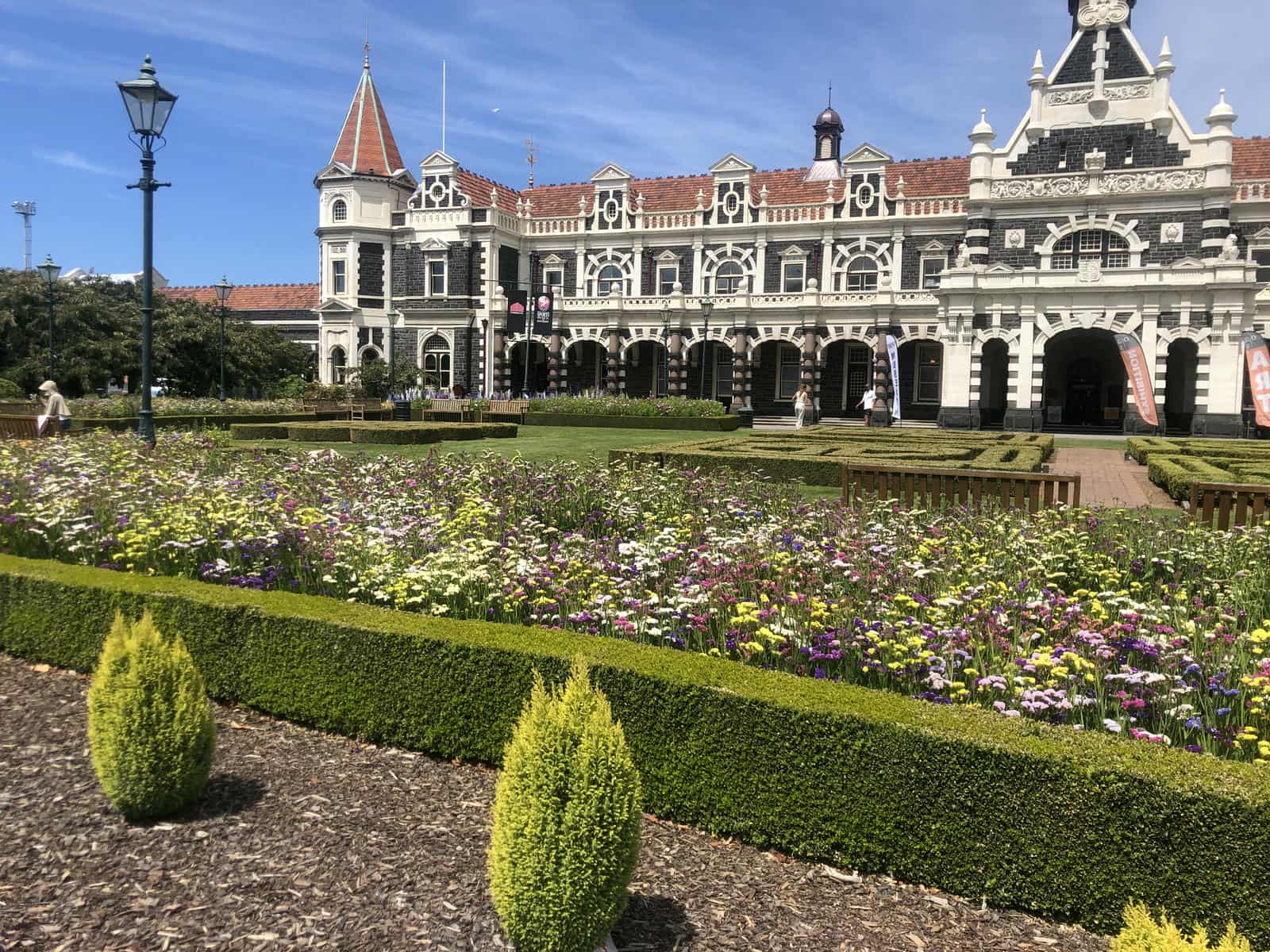 Dunedin Wallpapers - Top Free Dunedin Backgrounds - WallpaperAccess