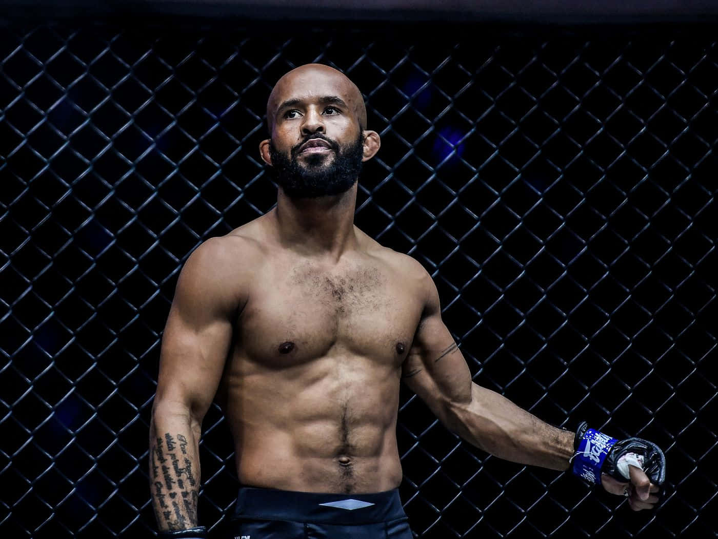 Demetrious Johnson Wallpapers - Top Free Demetrious Johnson Backgrounds ...