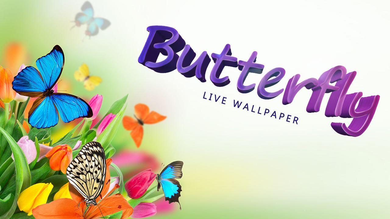 Animated Butterfly Wallpapers - Top Free Animated Butterfly Backgrounds ...