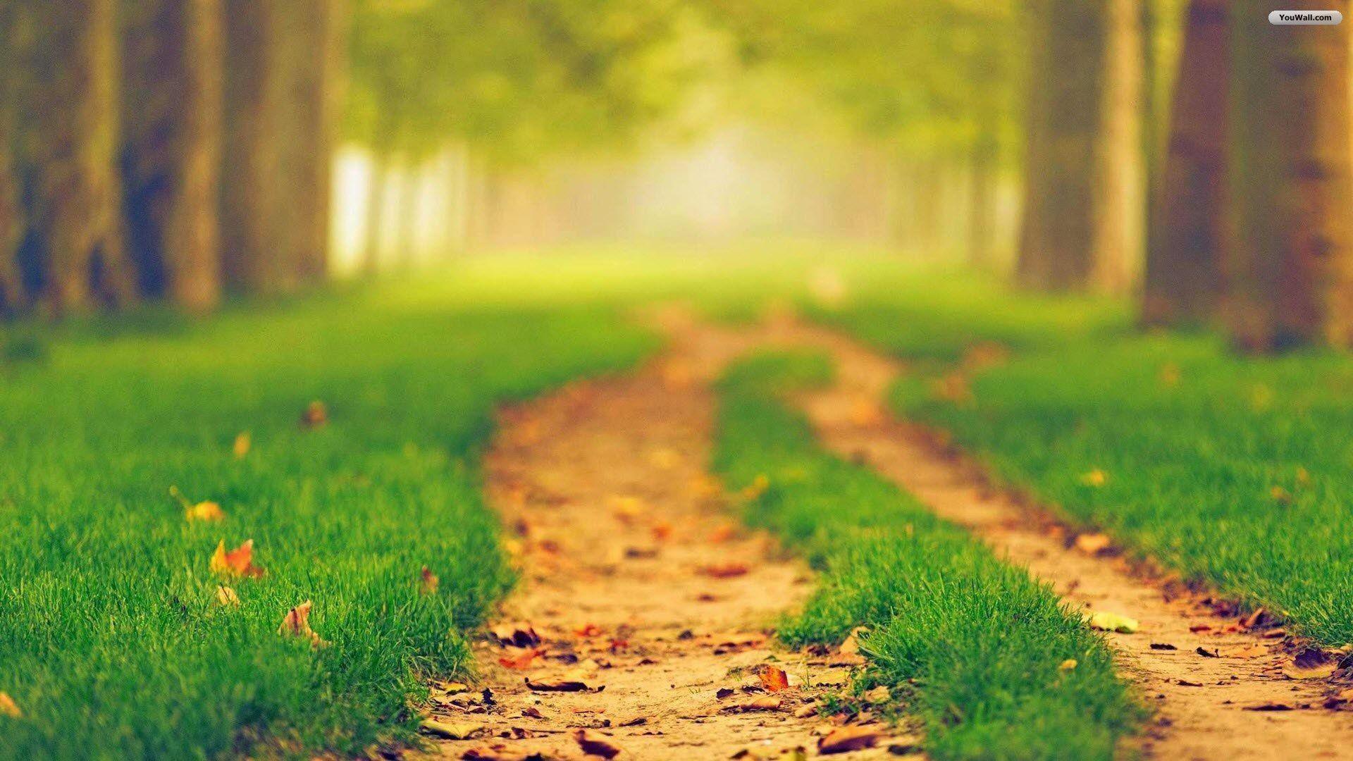 Path Wallpapers - Top Free Path Backgrounds - WallpaperAccess