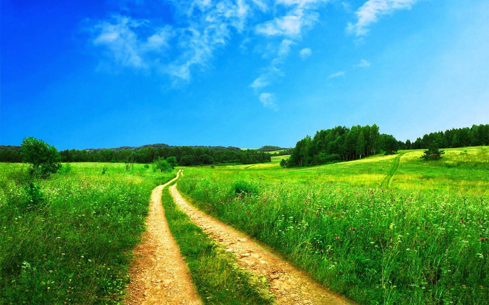 Path Wallpapers - Top Free Path Backgrounds - WallpaperAccess