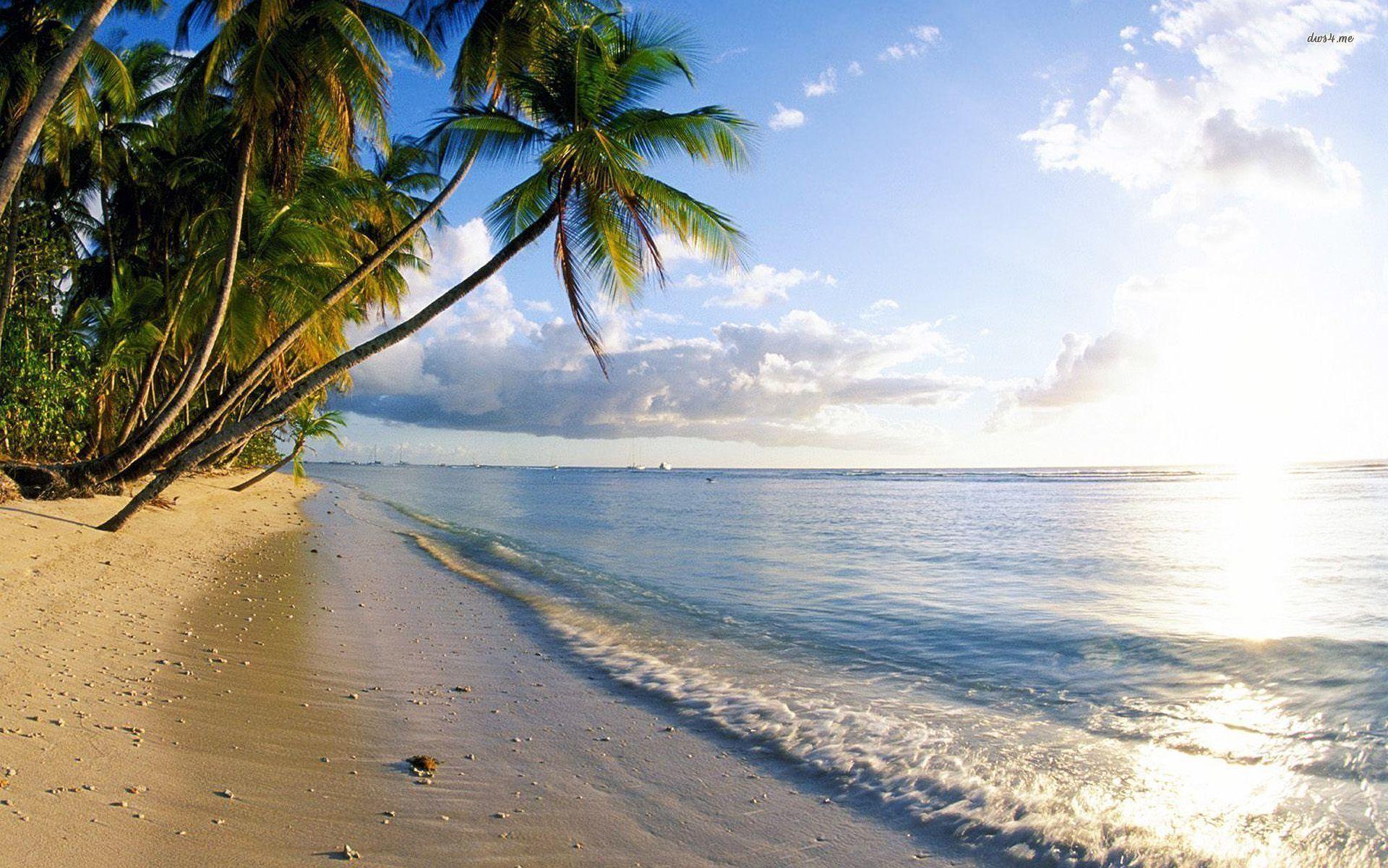 Trinidad and Tobago Wallpapers - Top Free Trinidad and Tobago ...