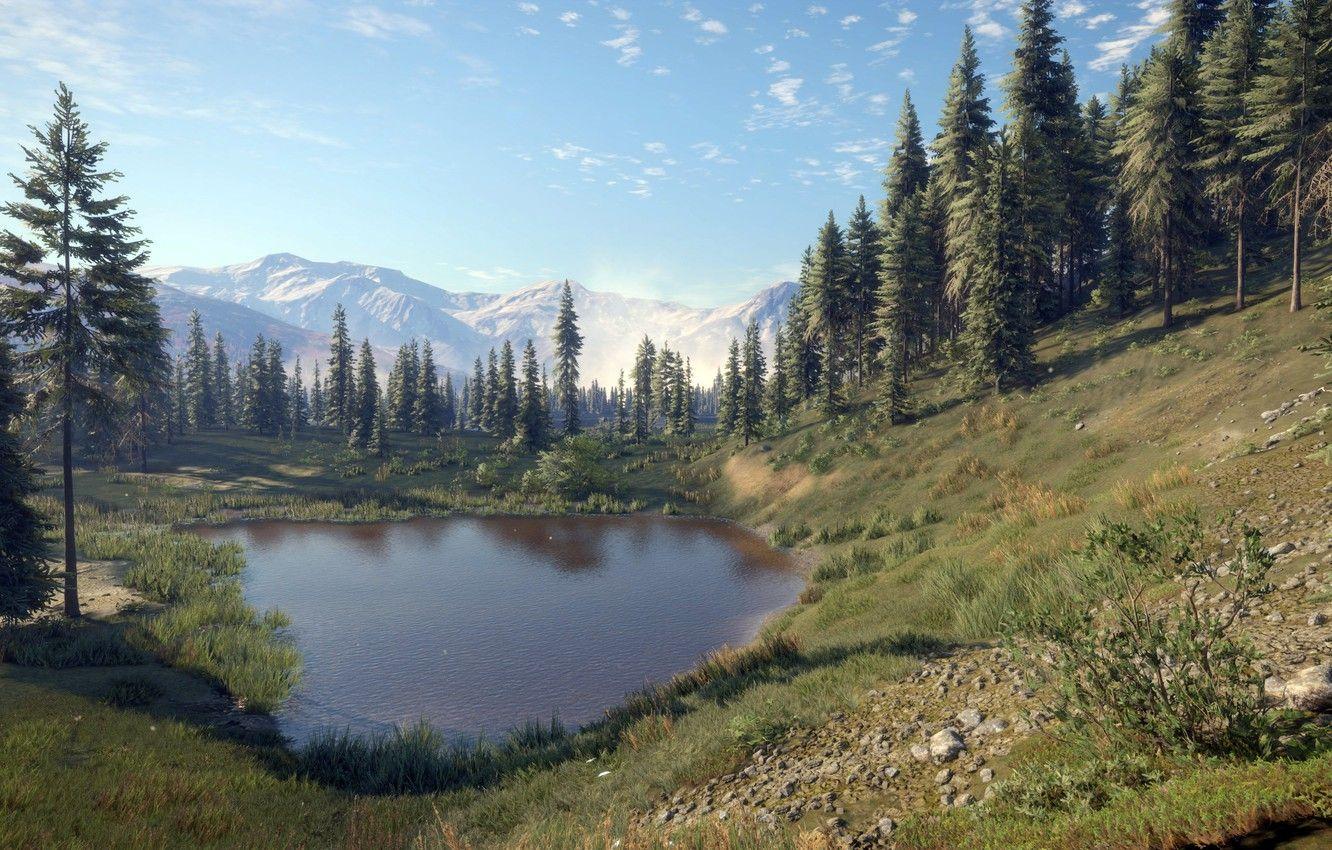 theHunter: Call of the Wild Wallpapers - Top Free theHunter: Call of ...