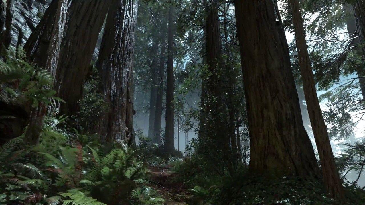 Endor Wallpapers - Top Free Endor Backgrounds - WallpaperAccess