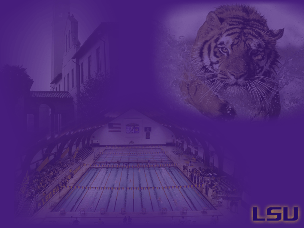 LSU Tigers Wallpapers - Top Free LSU Tigers Backgrounds - WallpaperAccess