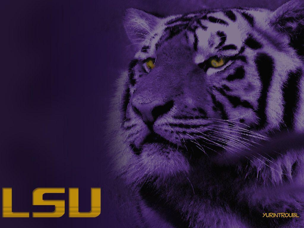 LSU Football Wallpapers - Top Free LSU Football Backgrounds ...