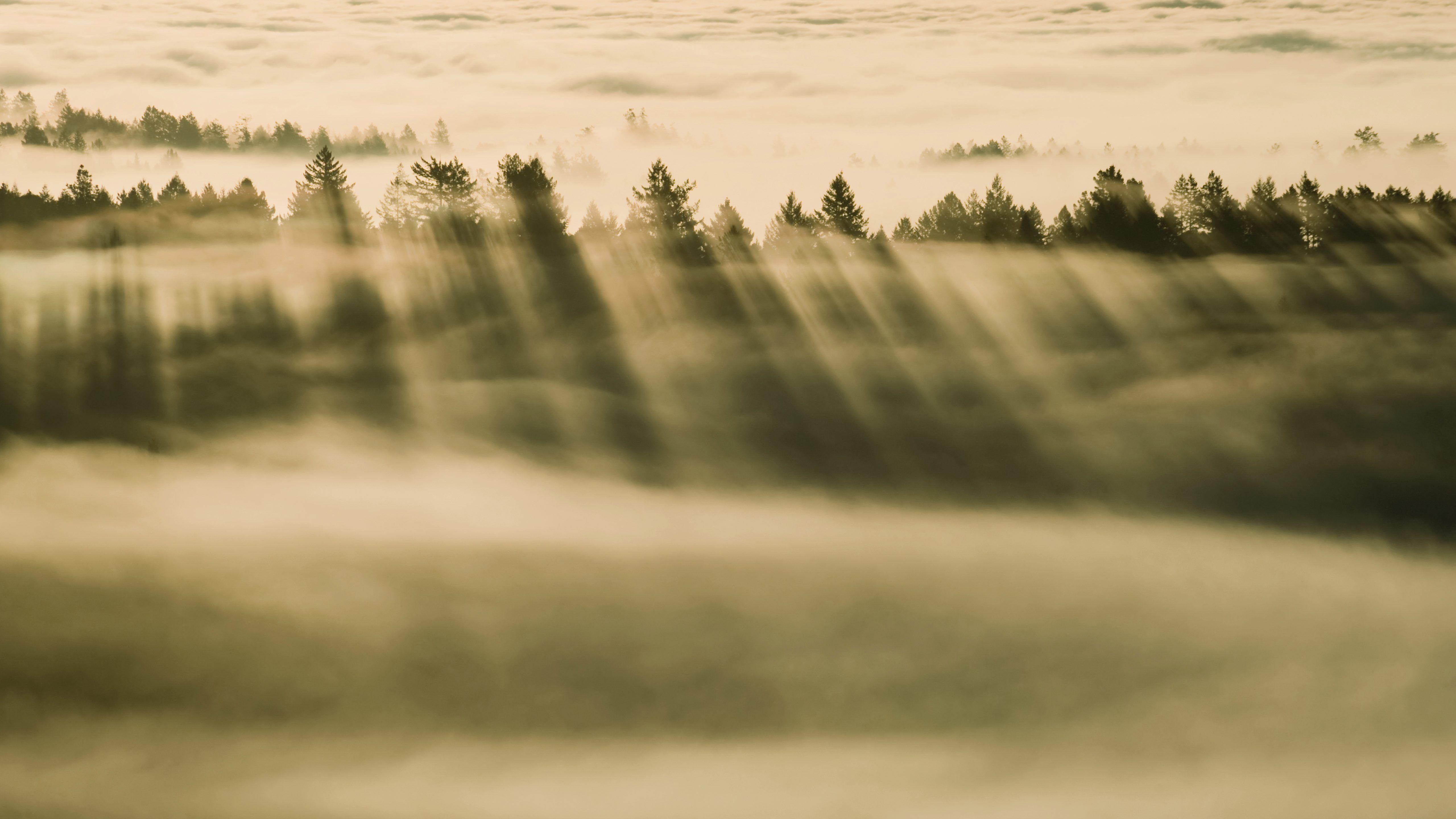 Mac OS Mavericks Wallpapers - Top Free Mac OS Mavericks Backgrounds ...