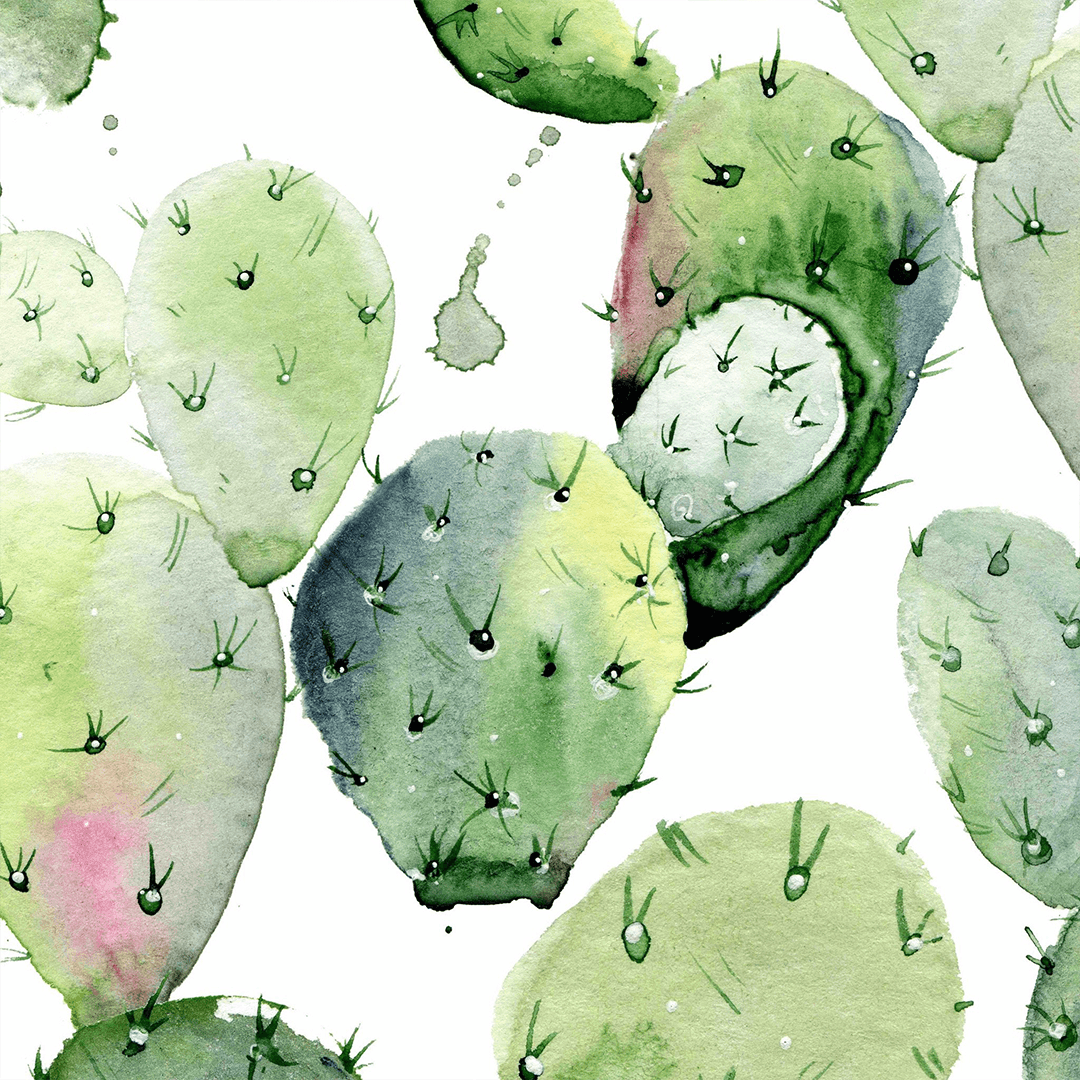 Cactus Wallpapers - Top Free Cactus Backgrounds - WallpaperAccess