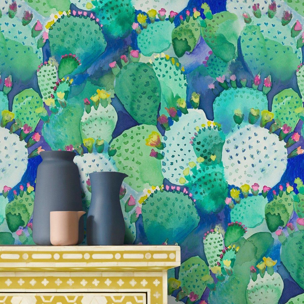 Cactus Wallpapers - Top Free Cactus Backgrounds - WallpaperAccess