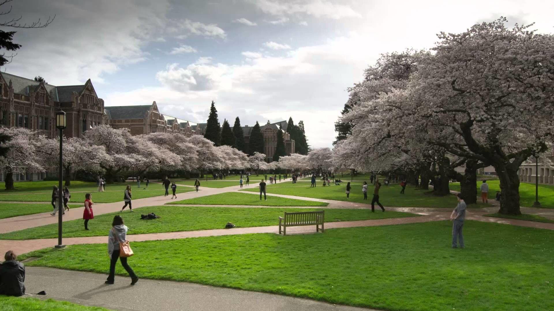 University of Washington Wallpapers - Top Free University of Washington ...