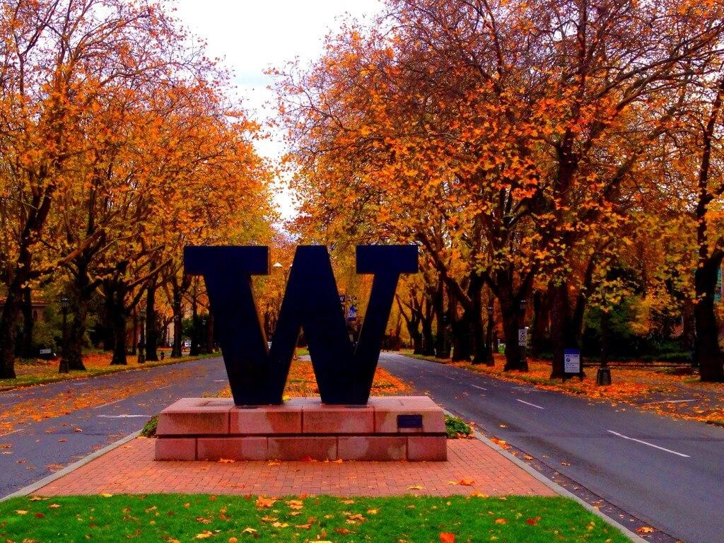University of Washington Wallpapers - Top Free University of Washington ...