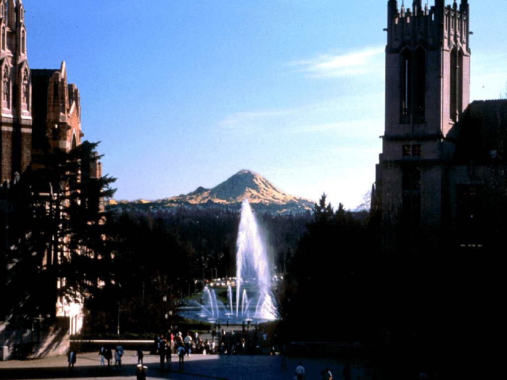 University of Washington Wallpapers - Top Free University of Washington ...