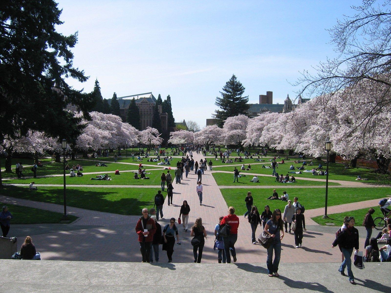 University of Washington Wallpapers - Top Free University of Washington ...