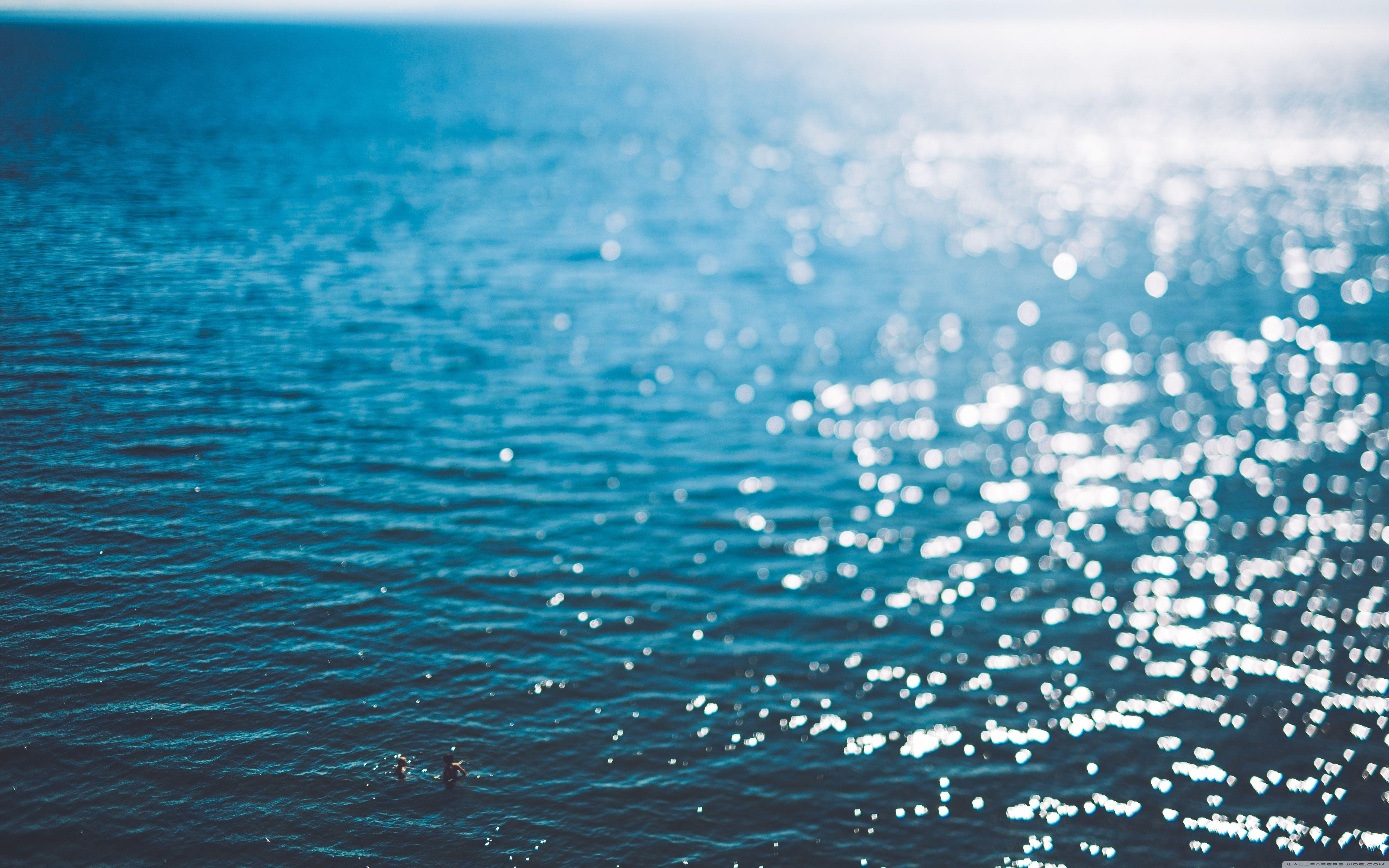 Swimming Wallpapers - Top Free Swimming Backgrounds - WallpaperAccess