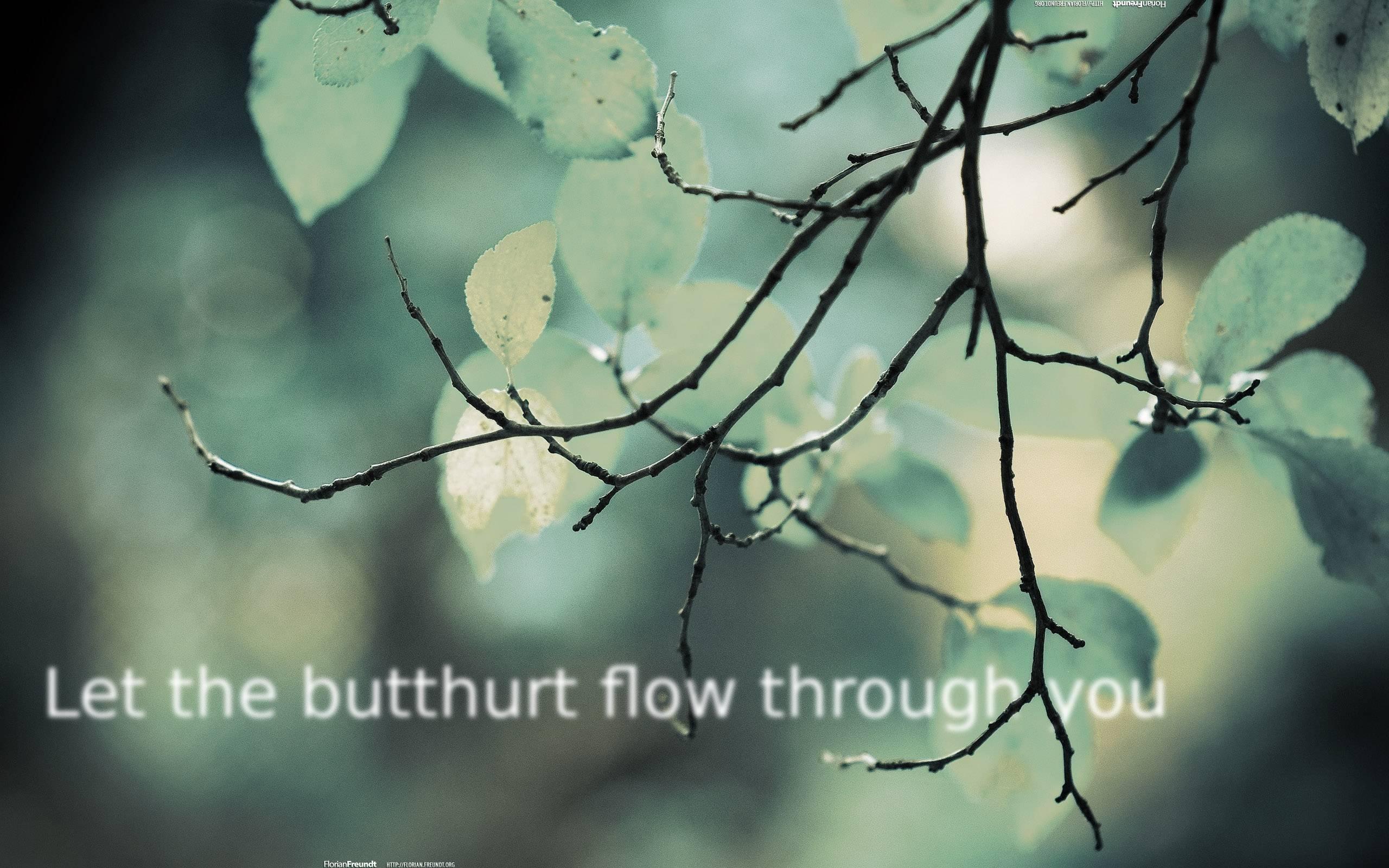 Demotivational Wallpapers - Top Free Demotivational Backgrounds ...