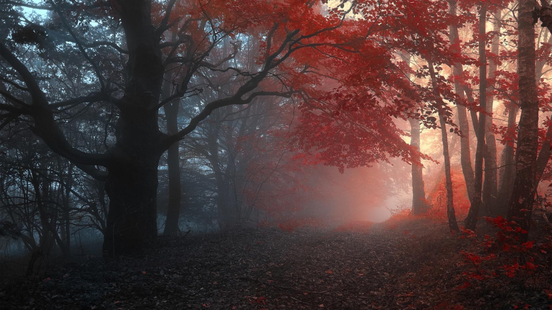 Consciousness Wallpapers - Top Free Consciousness Backgrounds ...