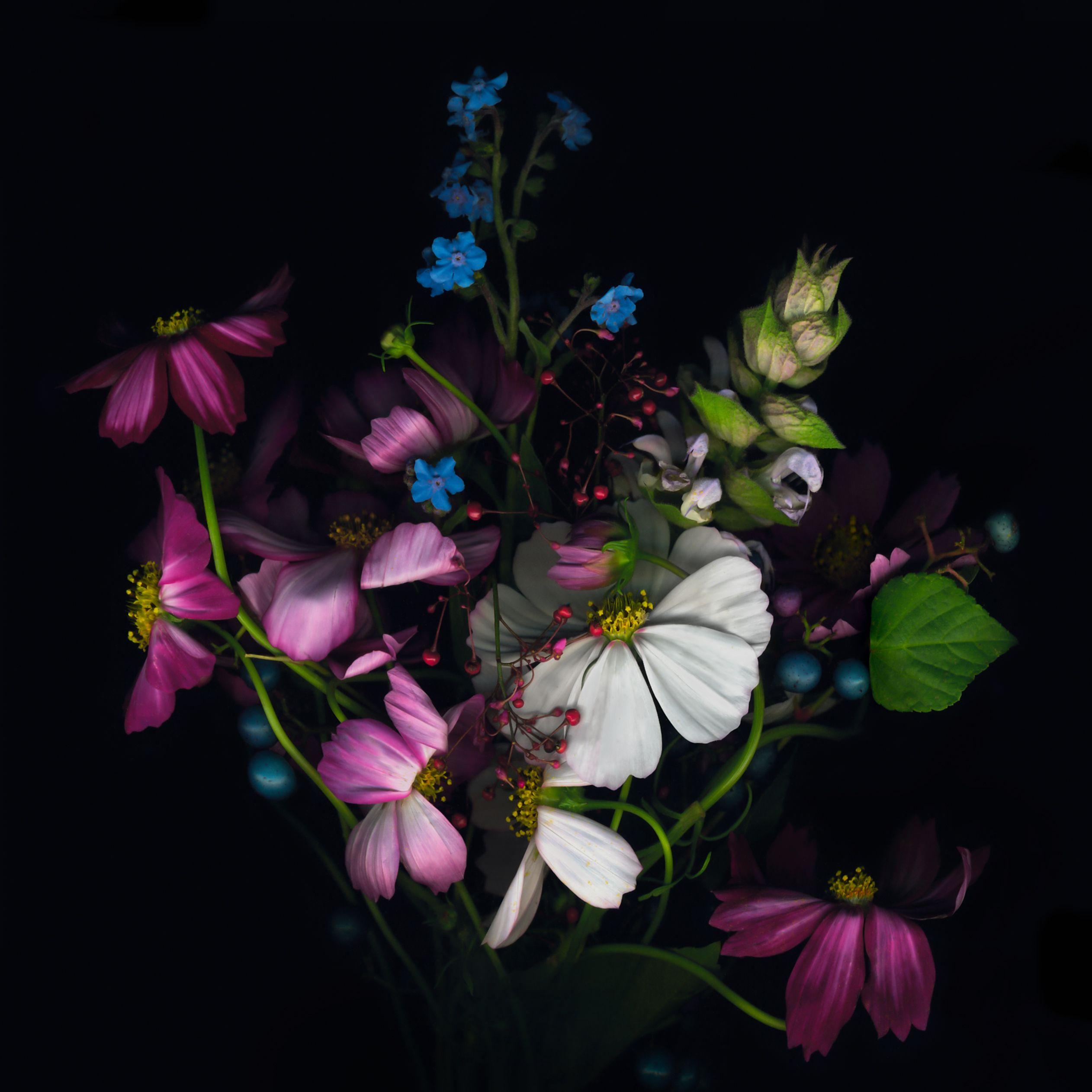 Flower iPad Wallpapers - Top Free Flower iPad Backgrounds - WallpaperAccess