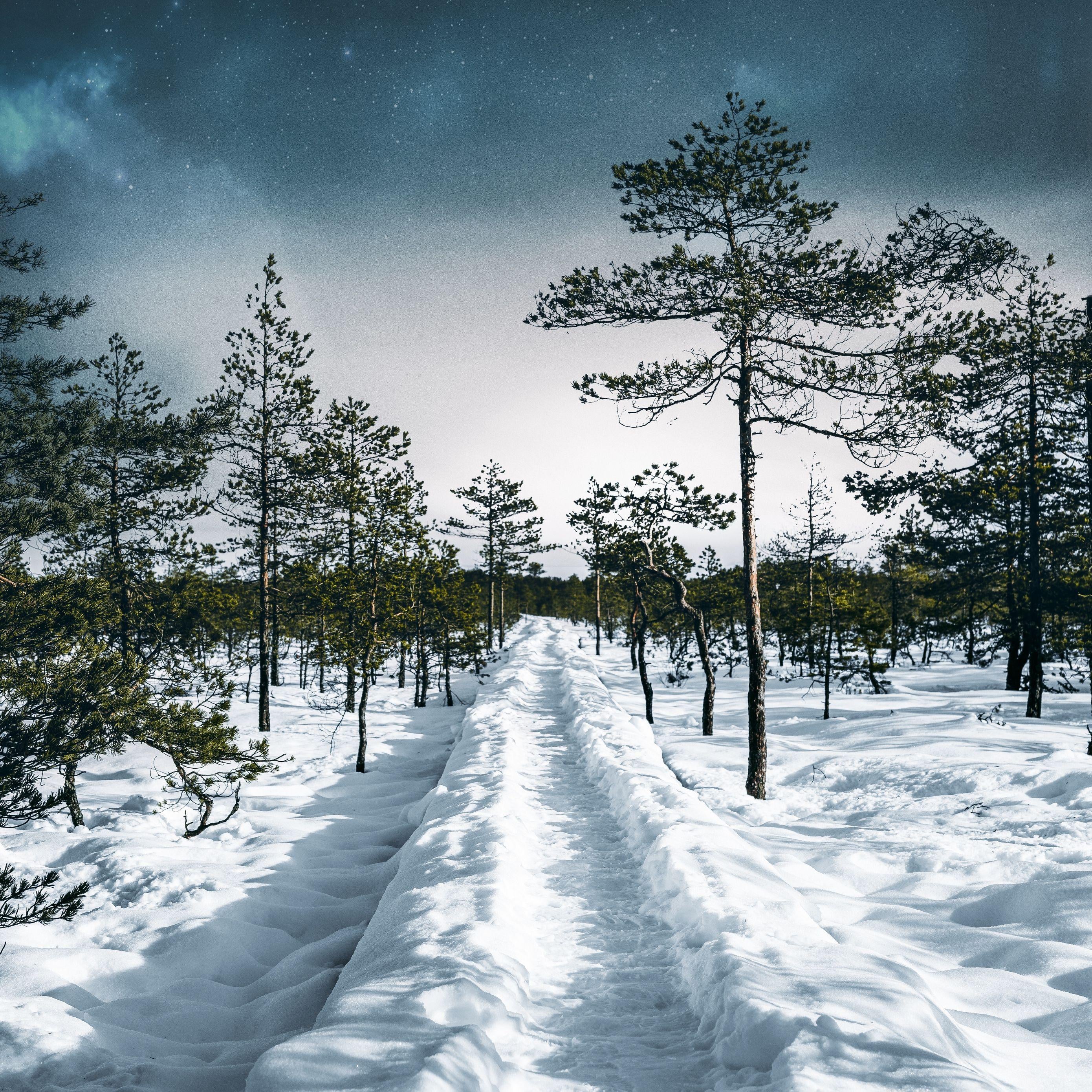 Winter iPad Wallpapers - Top Free Winter iPad Backgrounds - WallpaperAccess