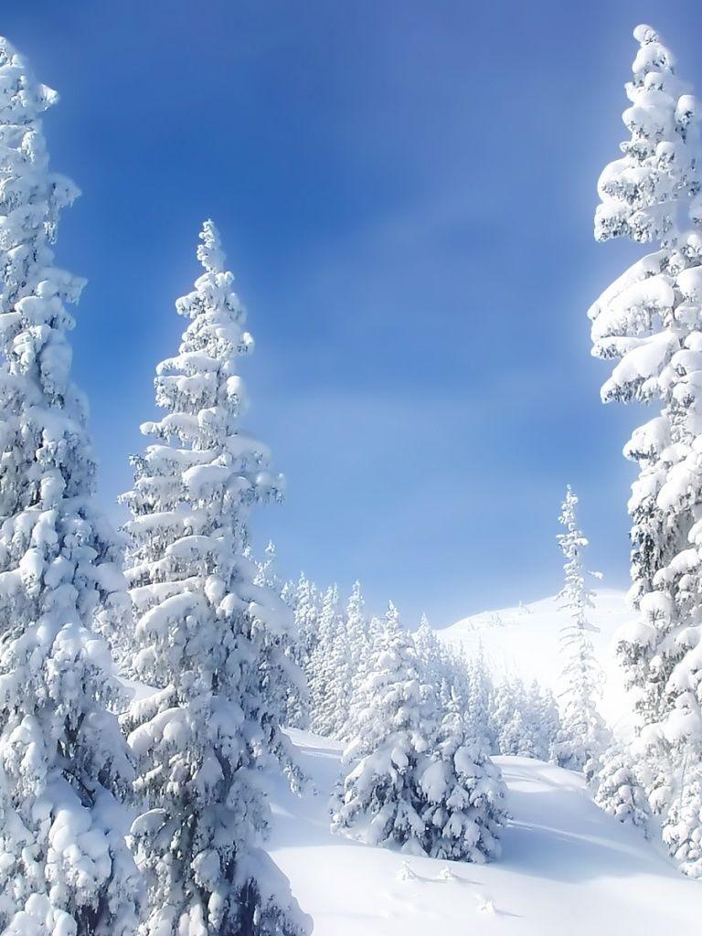 iPad Snow Wallpapers - Top Free iPad Snow Backgrounds - WallpaperAccess