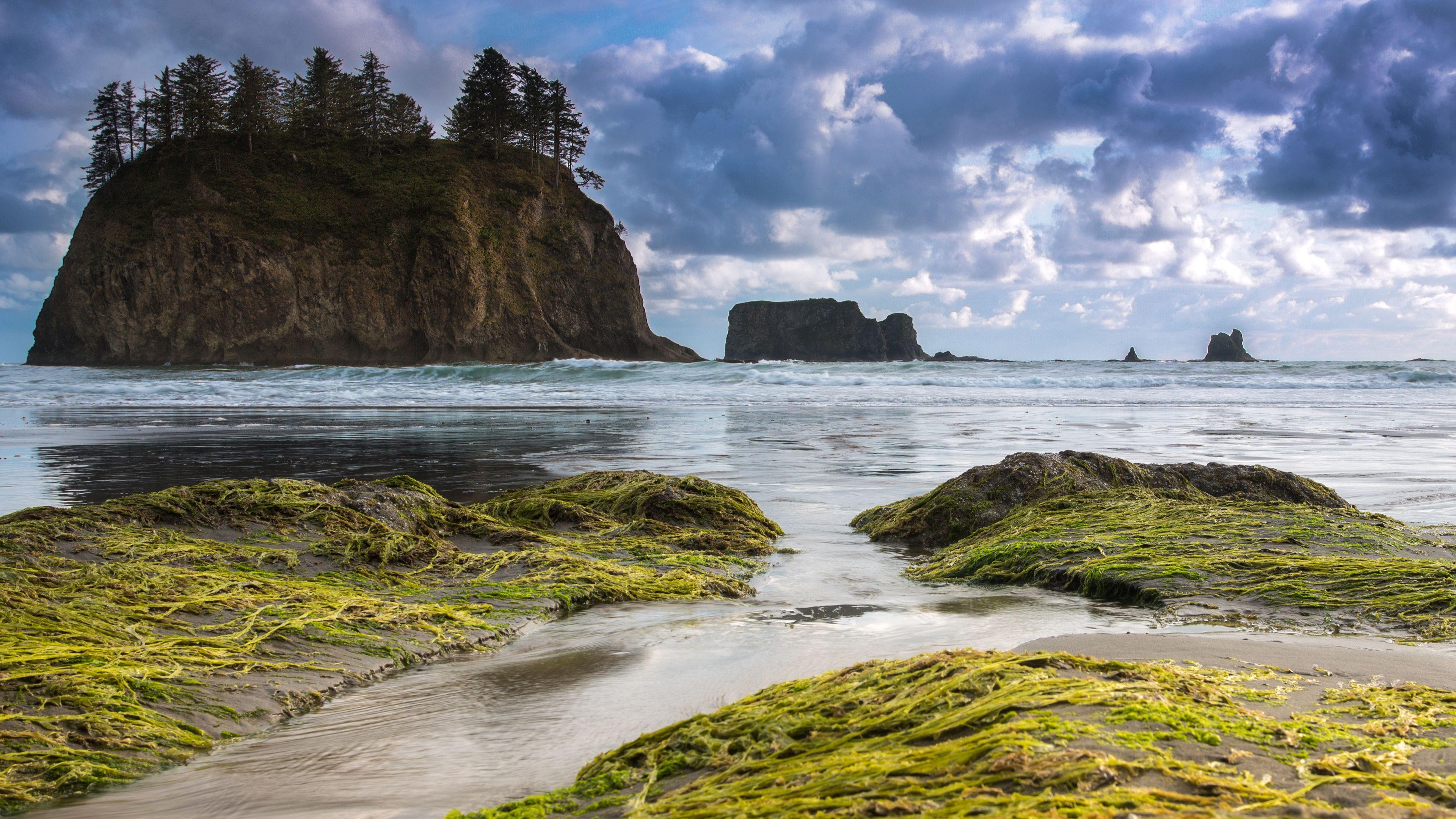 Olympic National Park Wallpapers - Top Free Olympic National Park ...