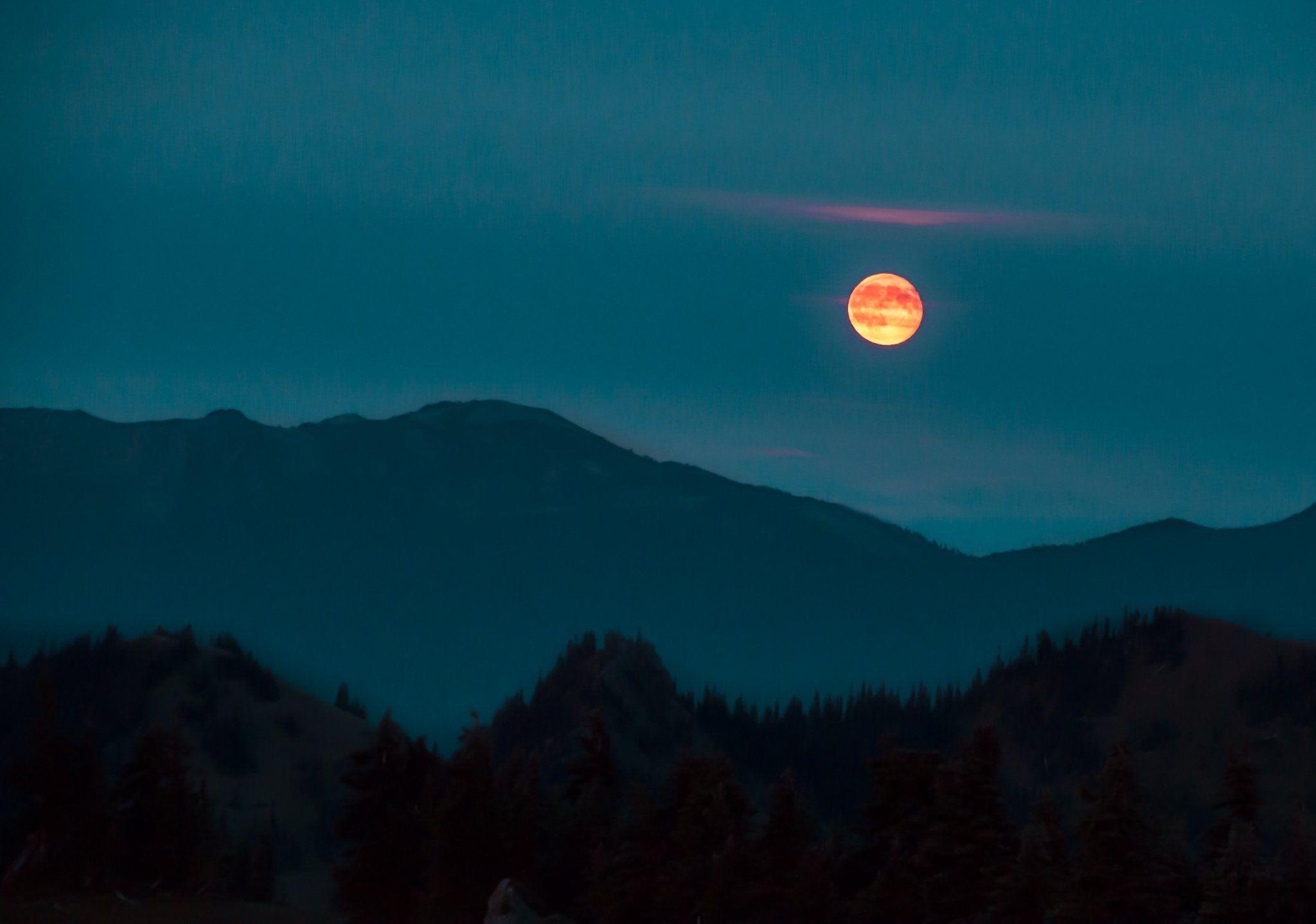 Olympic National Park Wallpapers - Top Free Olympic National Park ...