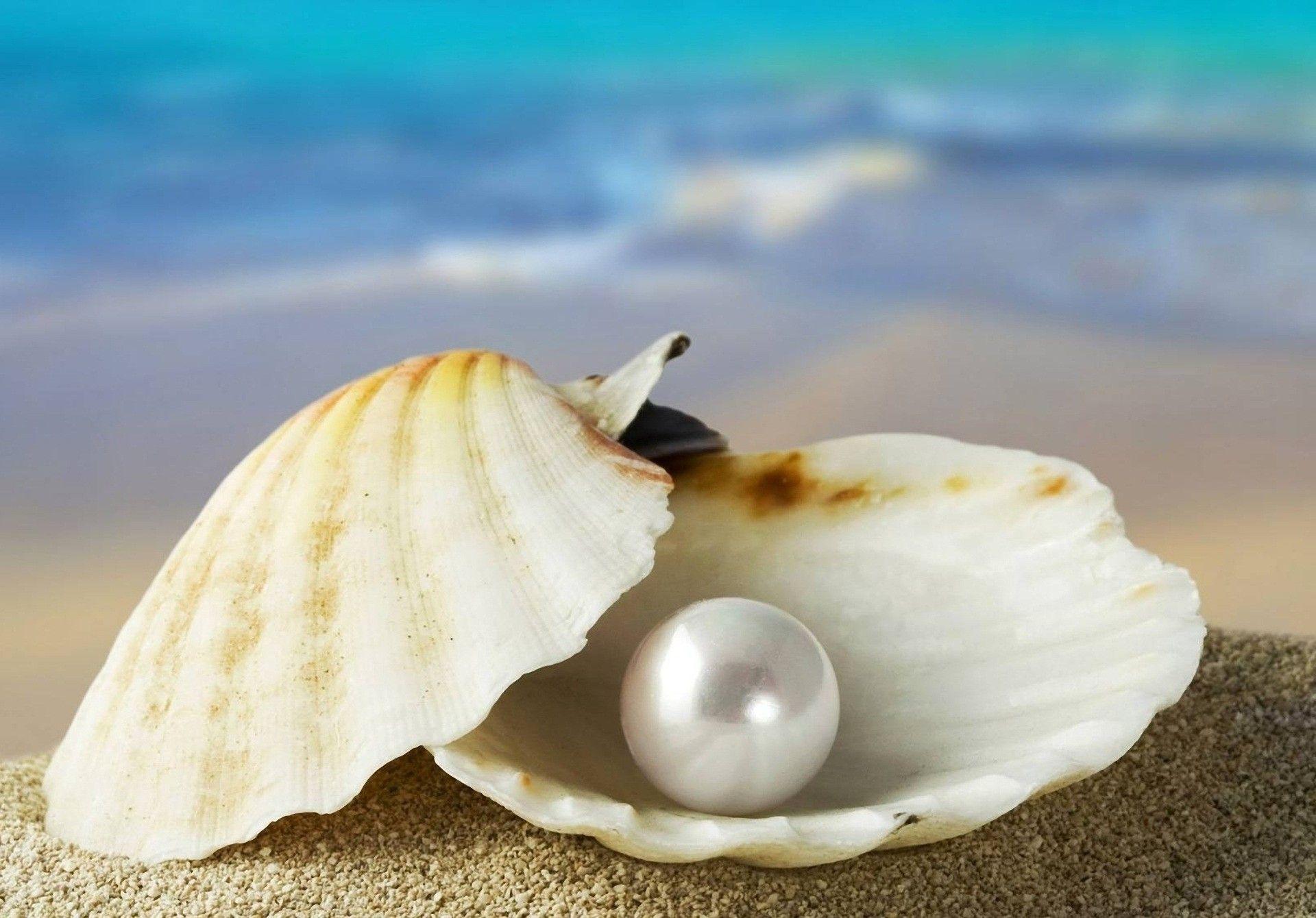 Pearl Wallpapers - Top Free Pearl Backgrounds - WallpaperAccess