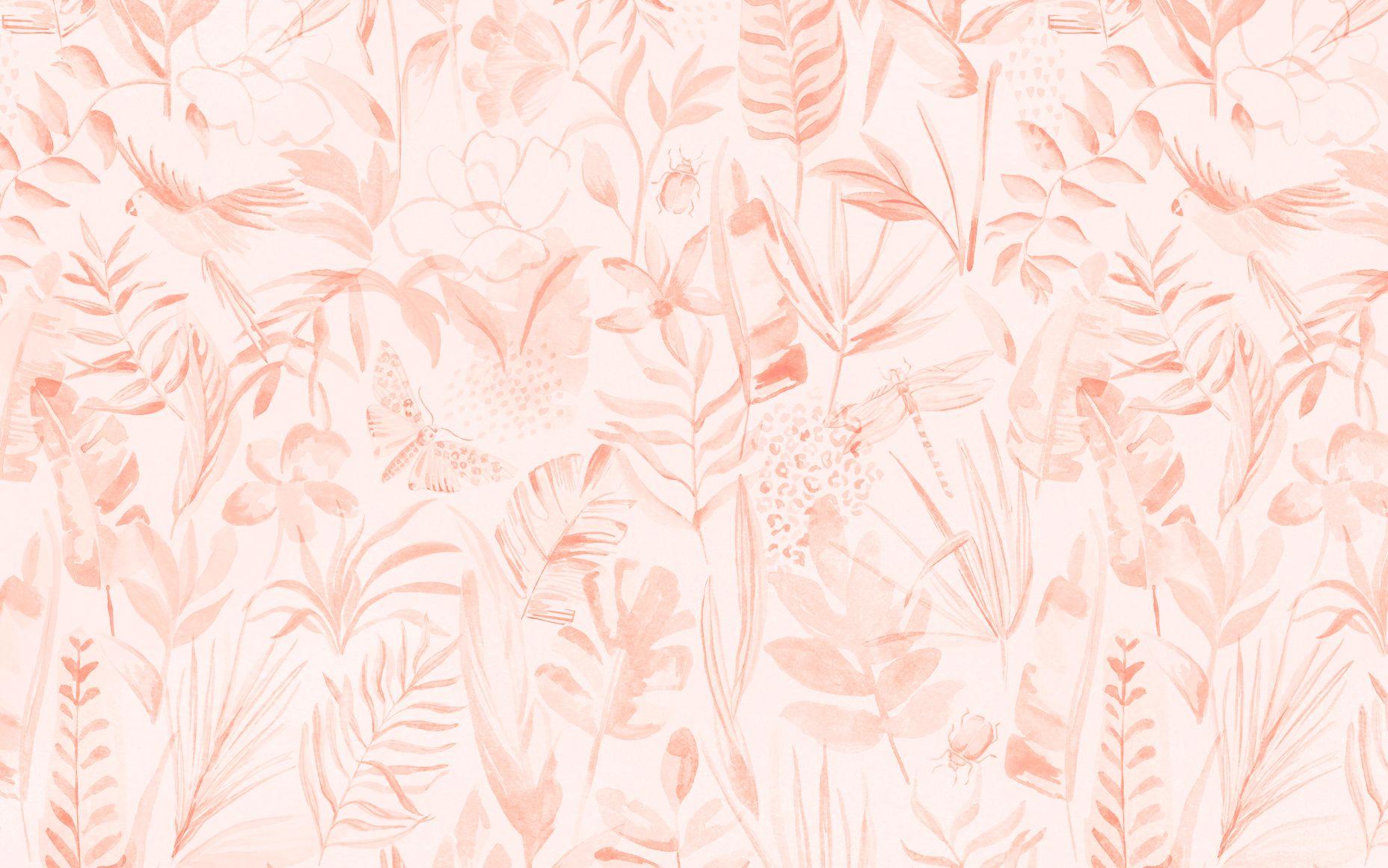 Peach Desktop Wallpapers - Top Free Peach Desktop Backgrounds ...