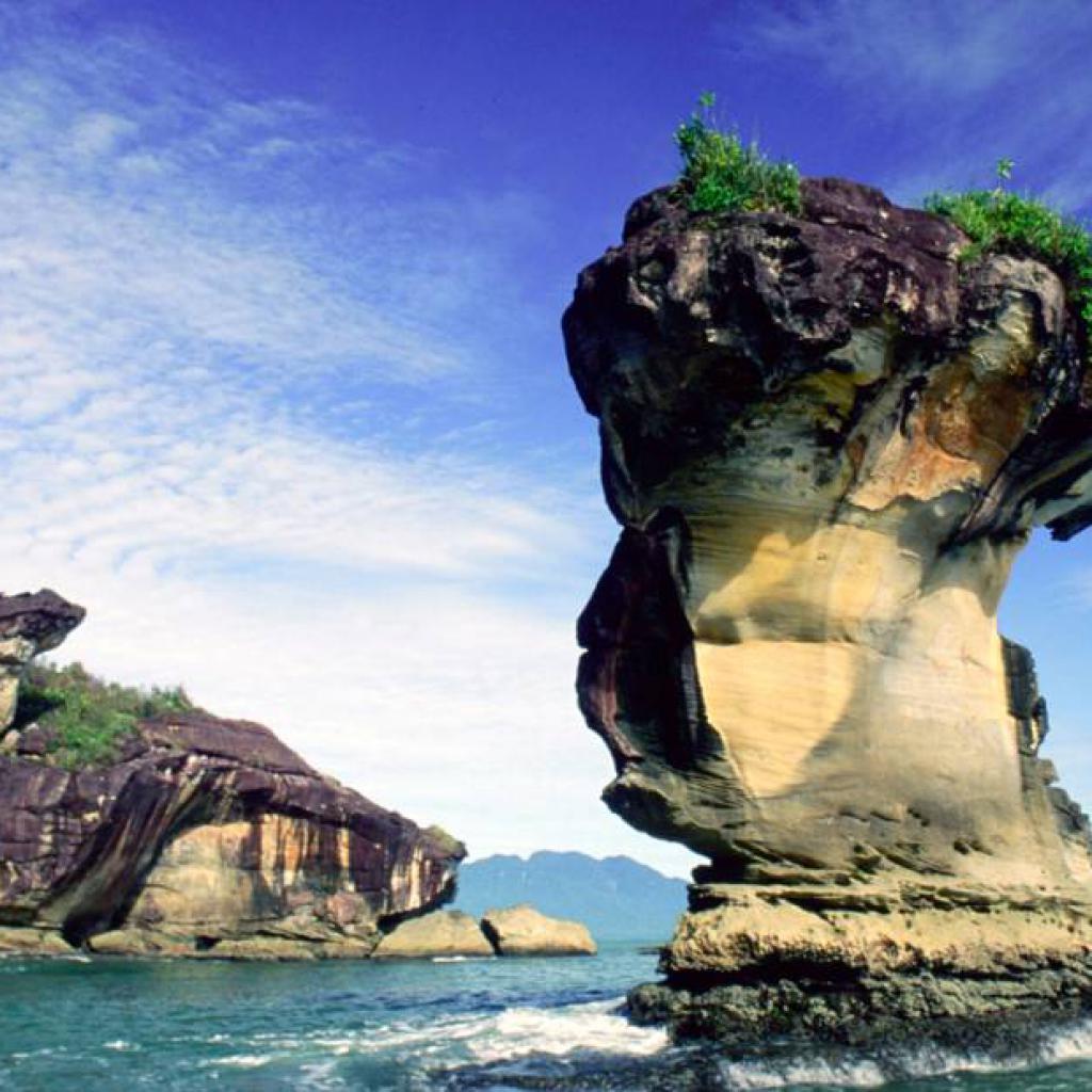 Borneo Wallpapers - Top Free Borneo Backgrounds - WallpaperAccess