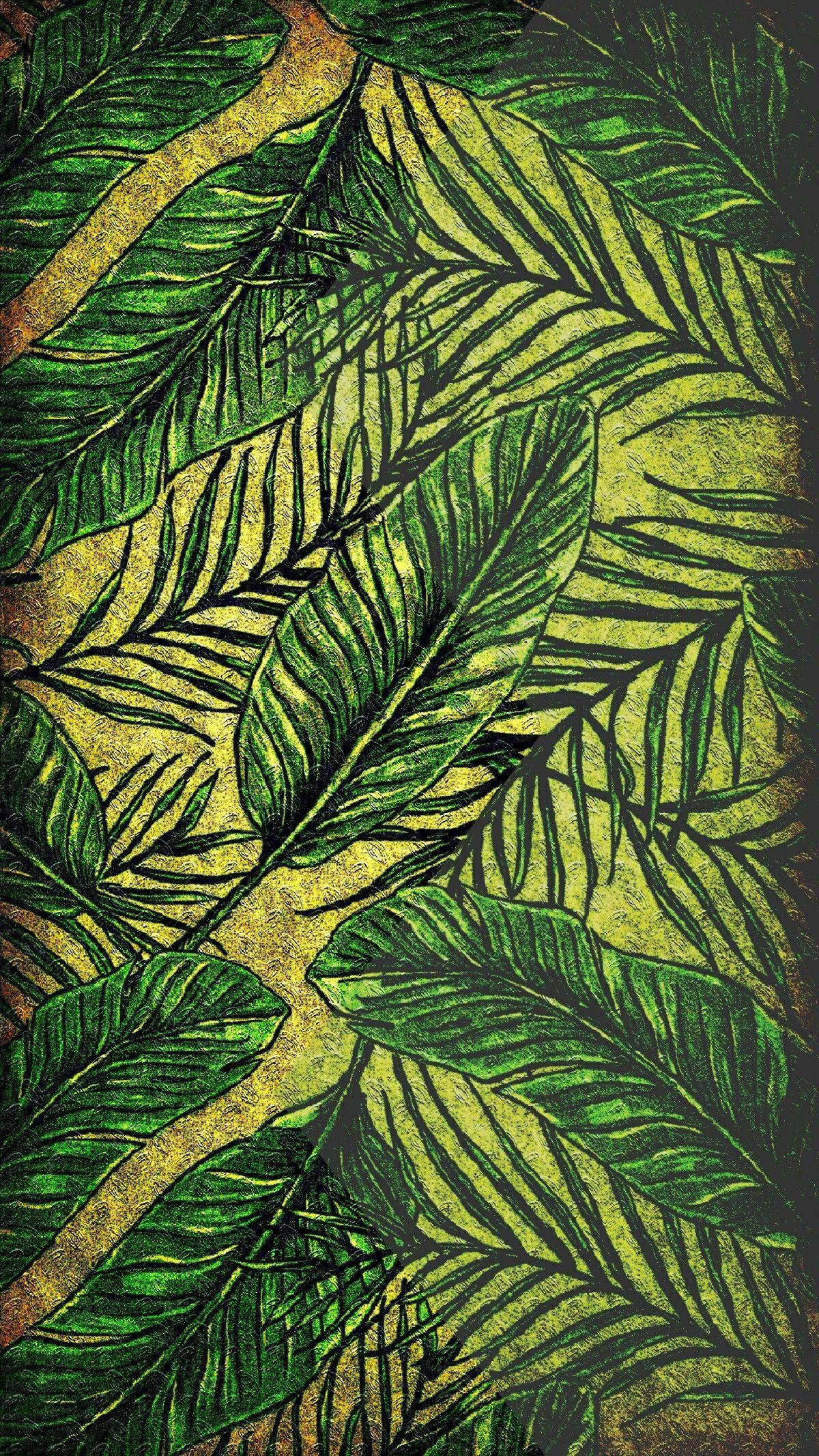 Borneo Wallpapers - Top Free Borneo Backgrounds - WallpaperAccess