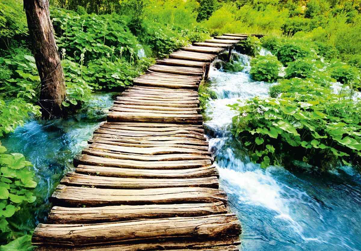 Feng Shui Wallpapers - Top Free Feng Shui Backgrounds - WallpaperAccess