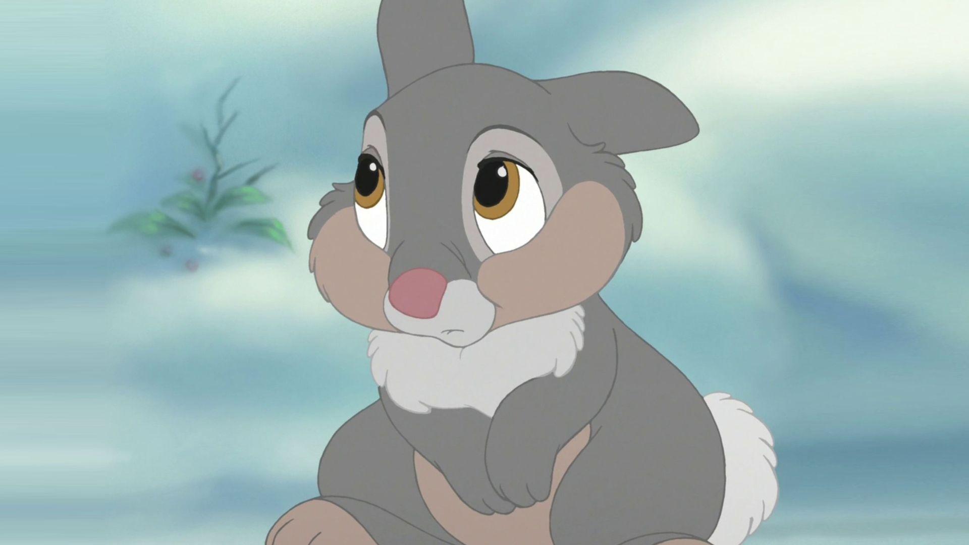 Thumper Wallpapers - Top Free Thumper Backgrounds - WallpaperAccess