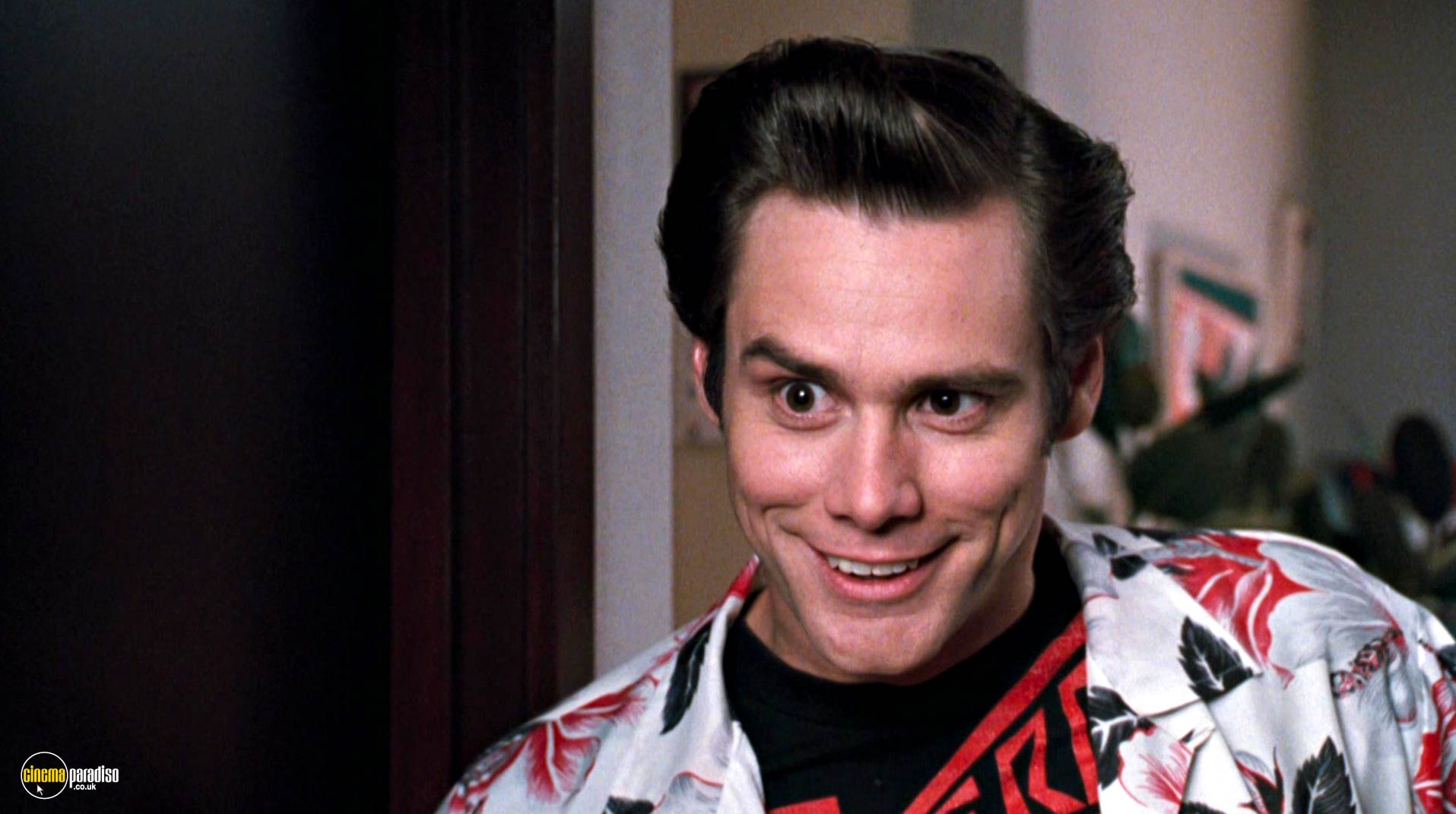 Ace Ventura Wallpapers - Top Free Ace Ventura Backgrounds - WallpaperAccess