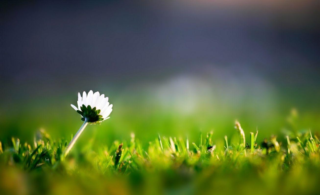 Samsung Galaxy S2 Wallpapers - Top Free Samsung Galaxy S2 Backgrounds ...