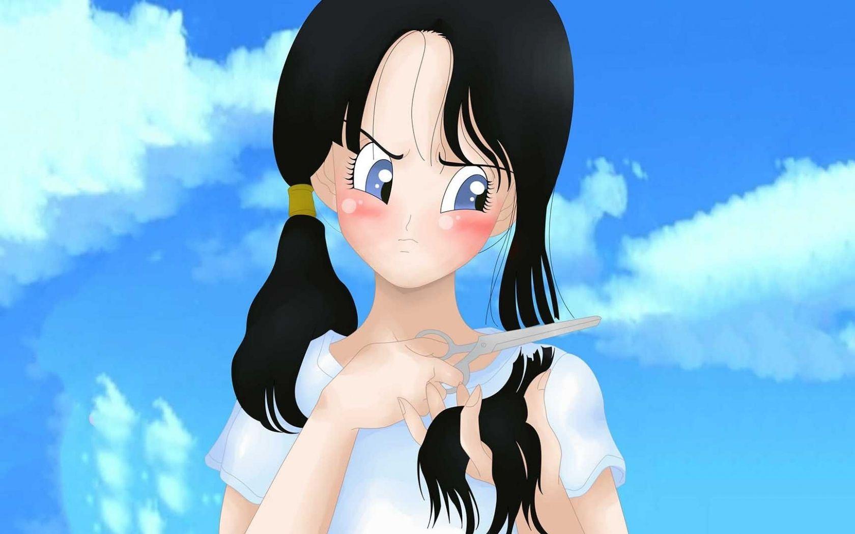 Videl Wallpapers - Top Free Videl Backgrounds - WallpaperAccess