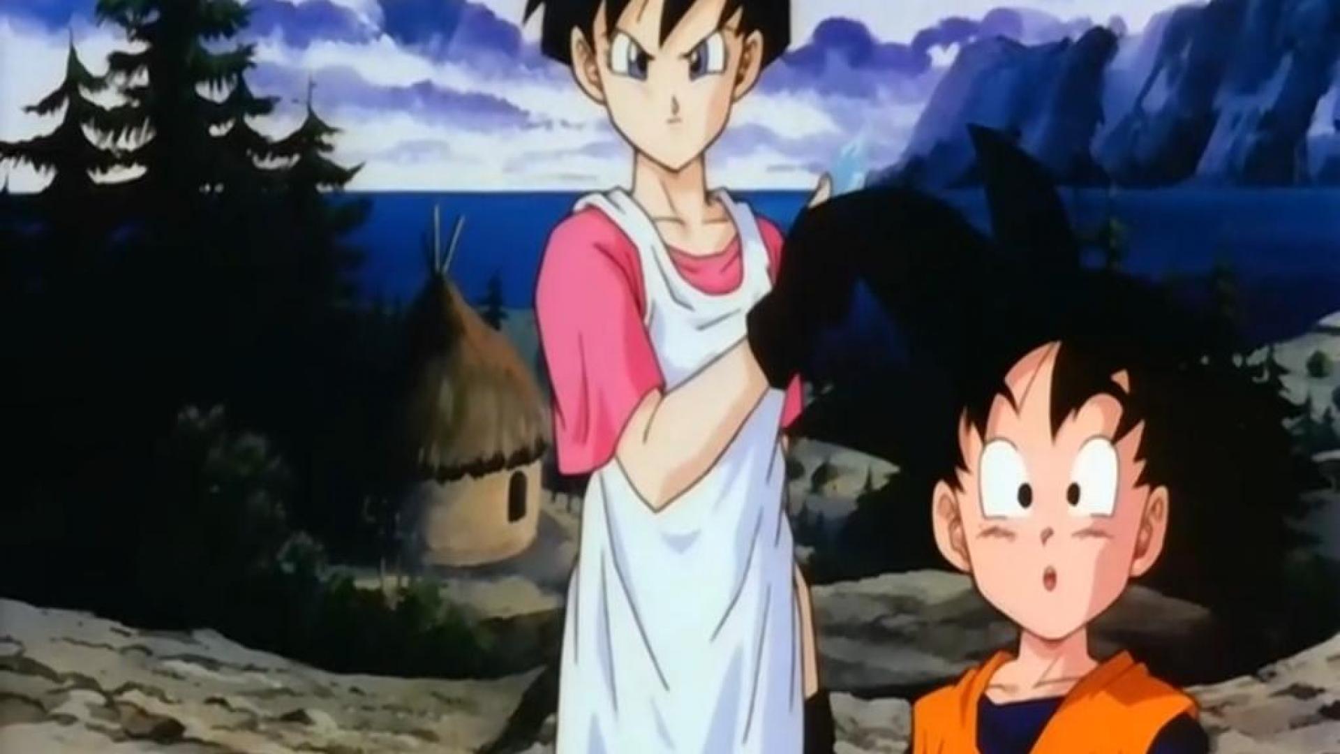 Videl Wallpapers - Top Free Videl Backgrounds - WallpaperAccess