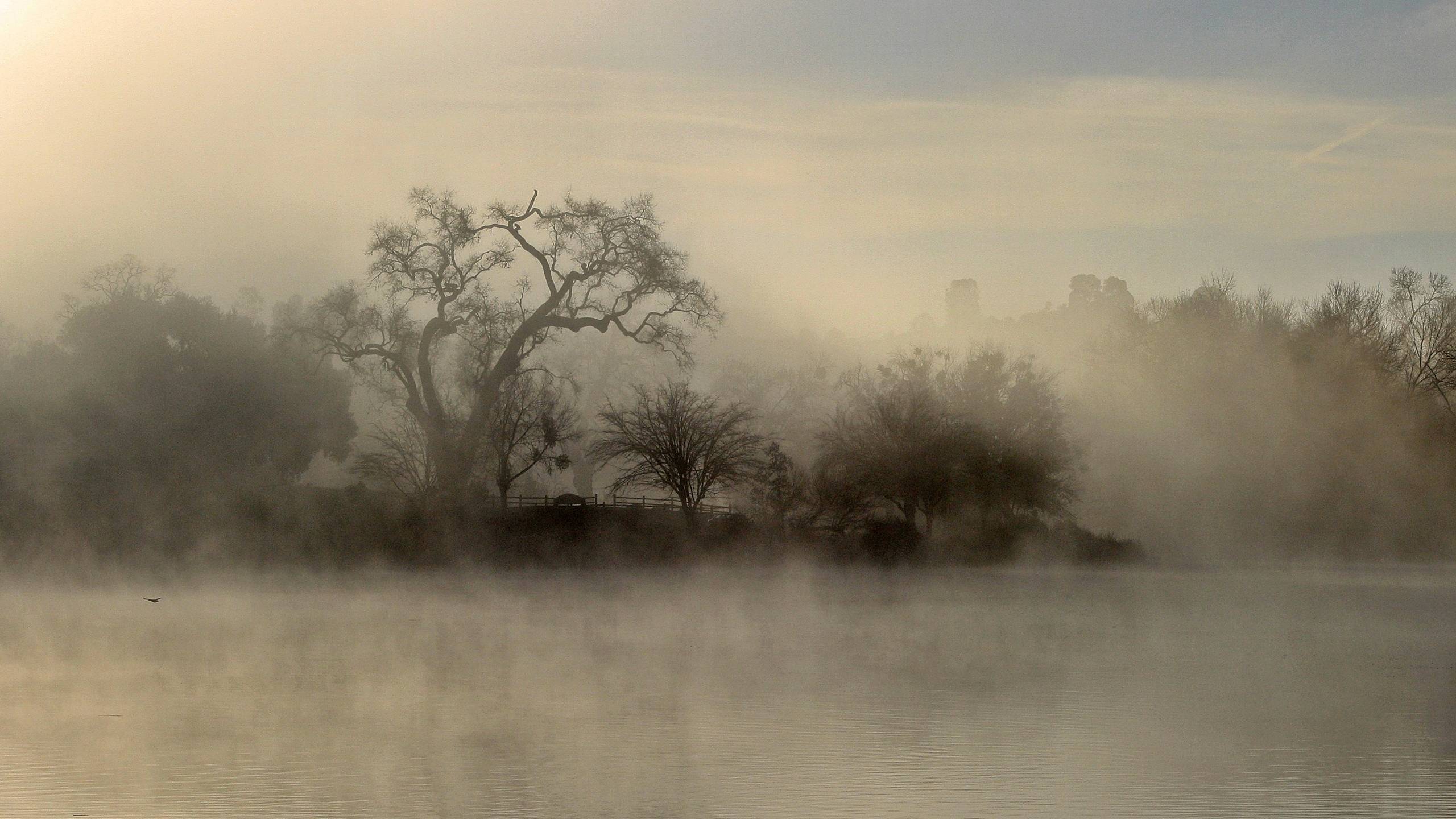 Misty Wallpapers - Top Free Misty Backgrounds - WallpaperAccess
