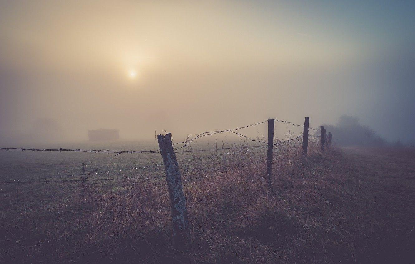 Foggy Field Wallpapers - Top Free Foggy Field Backgrounds - WallpaperAccess